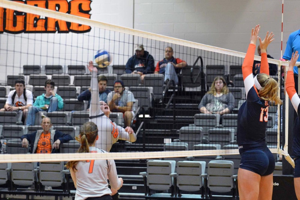 Mackenzie Holbert - 2018 - Women's Volleyball - SUNY Cobleskill Athletics