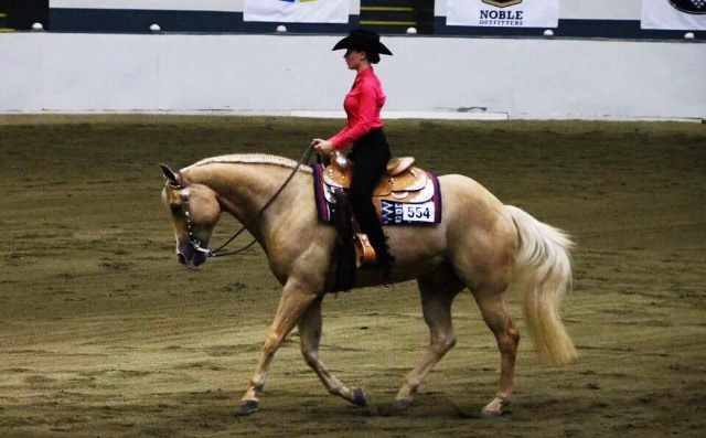 Western Equestrian Sweeps Competition at IHSA Regional Events at ...