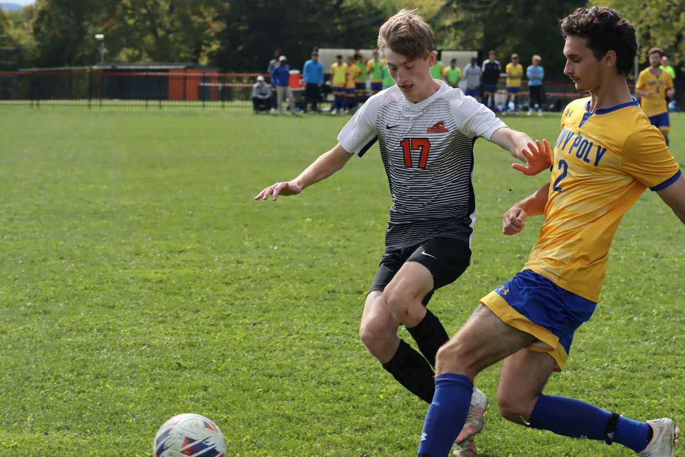 Cobleskill Falls to SUNY Poly in NAC Action - SUNY Cobleskill Athletics