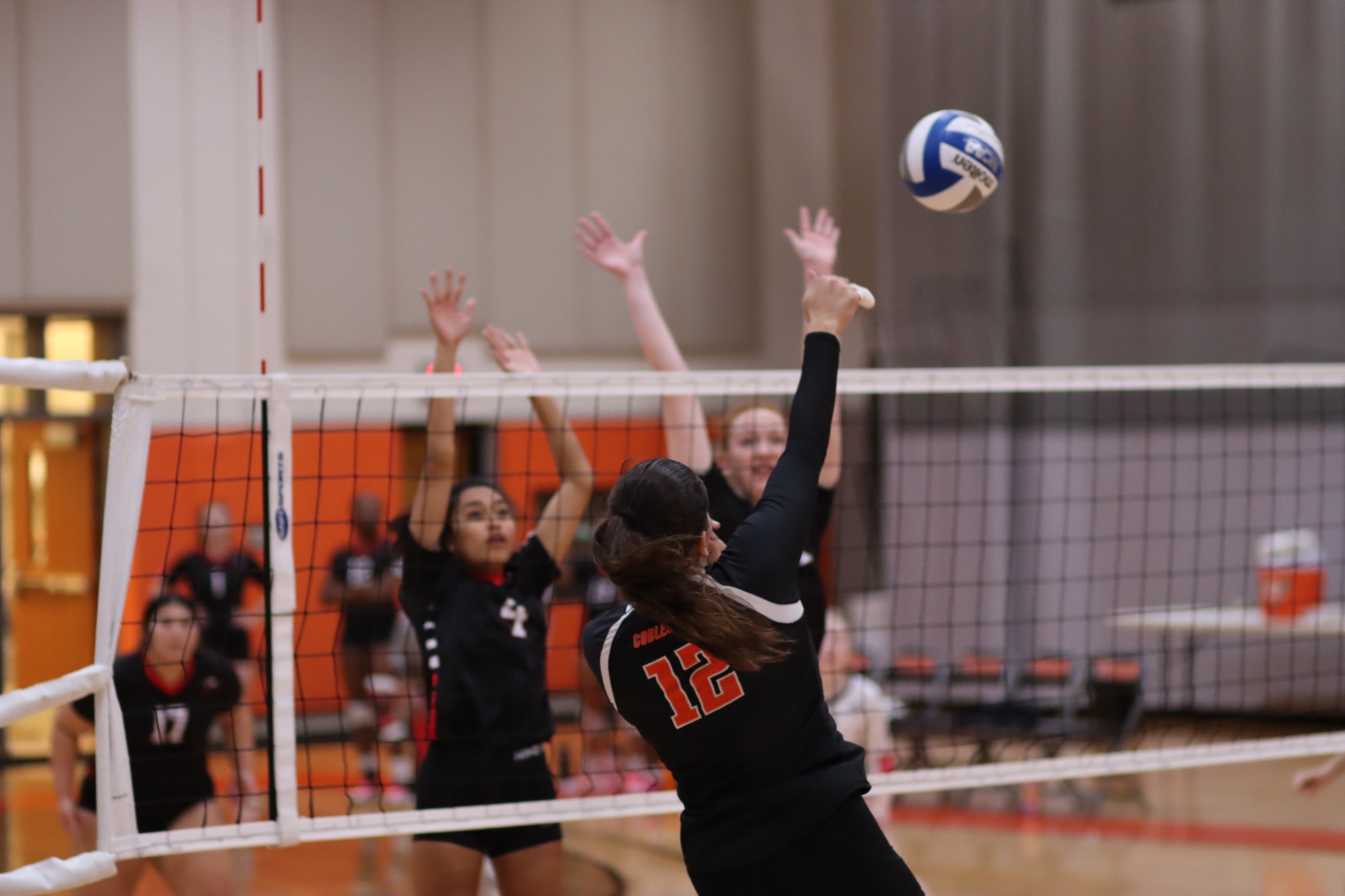 Fighting Tiger Volleyball Drops Regular Season Finale to Bard College ...