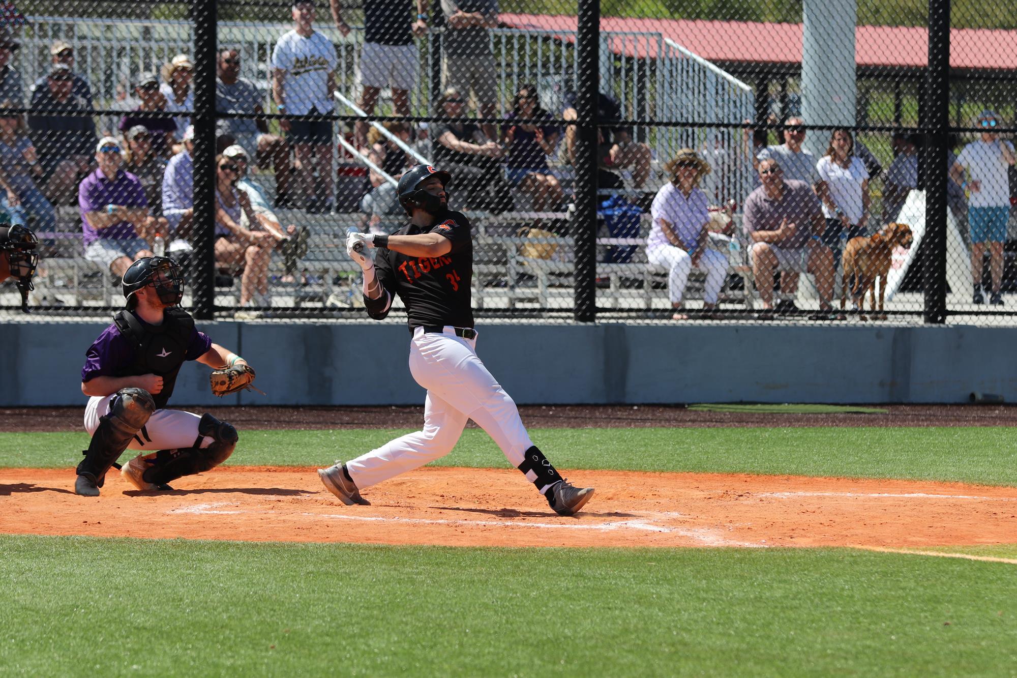 Samuel Gutierrez - 2024 - Baseball - SUNY Cobleskill Athletics