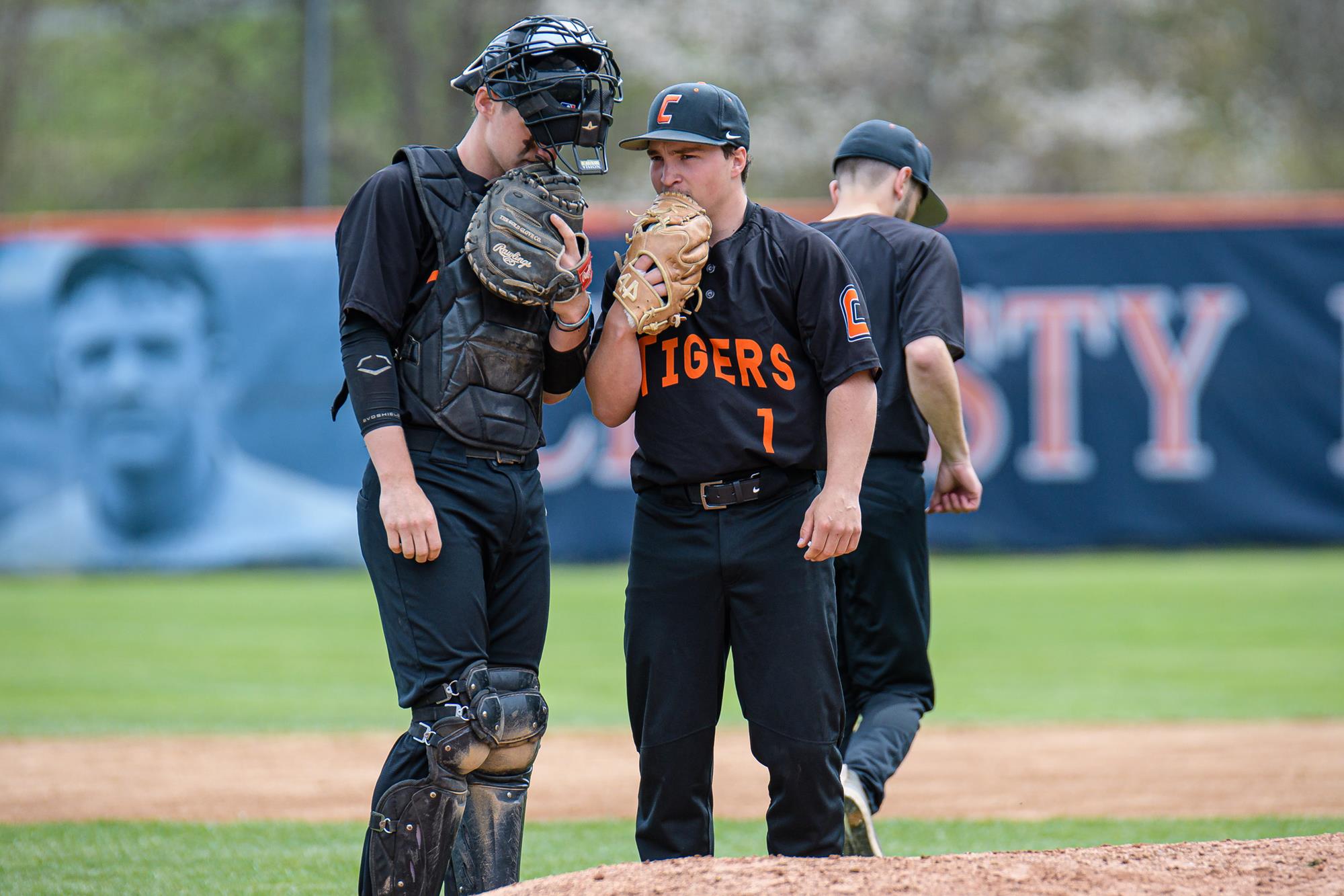 Ethan Straub - 2022 - Baseball - SUNY Cobleskill Athletics