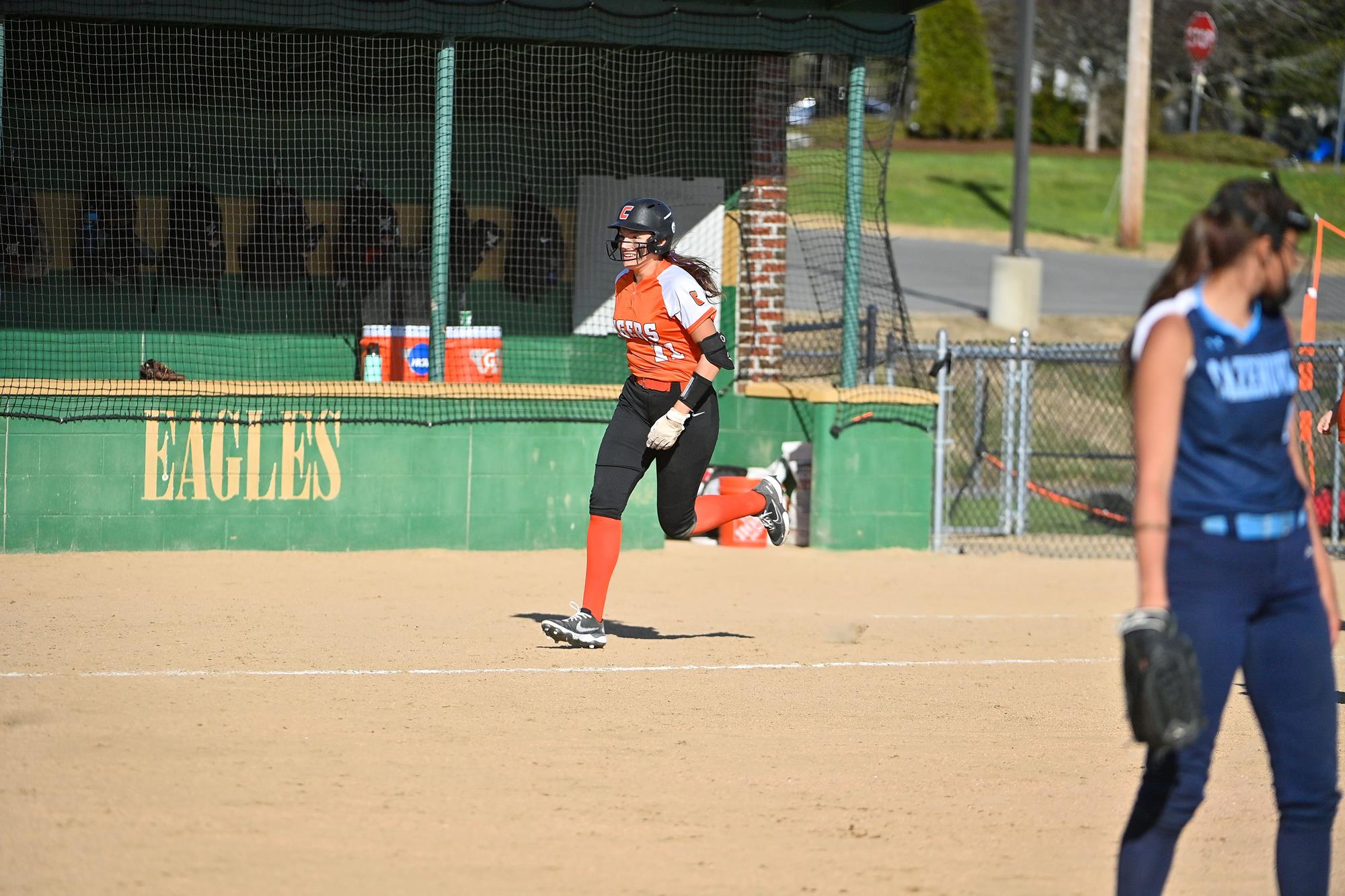Fighting Tiger Softball Mauls Cazenovia College 18-5 in NAC ...