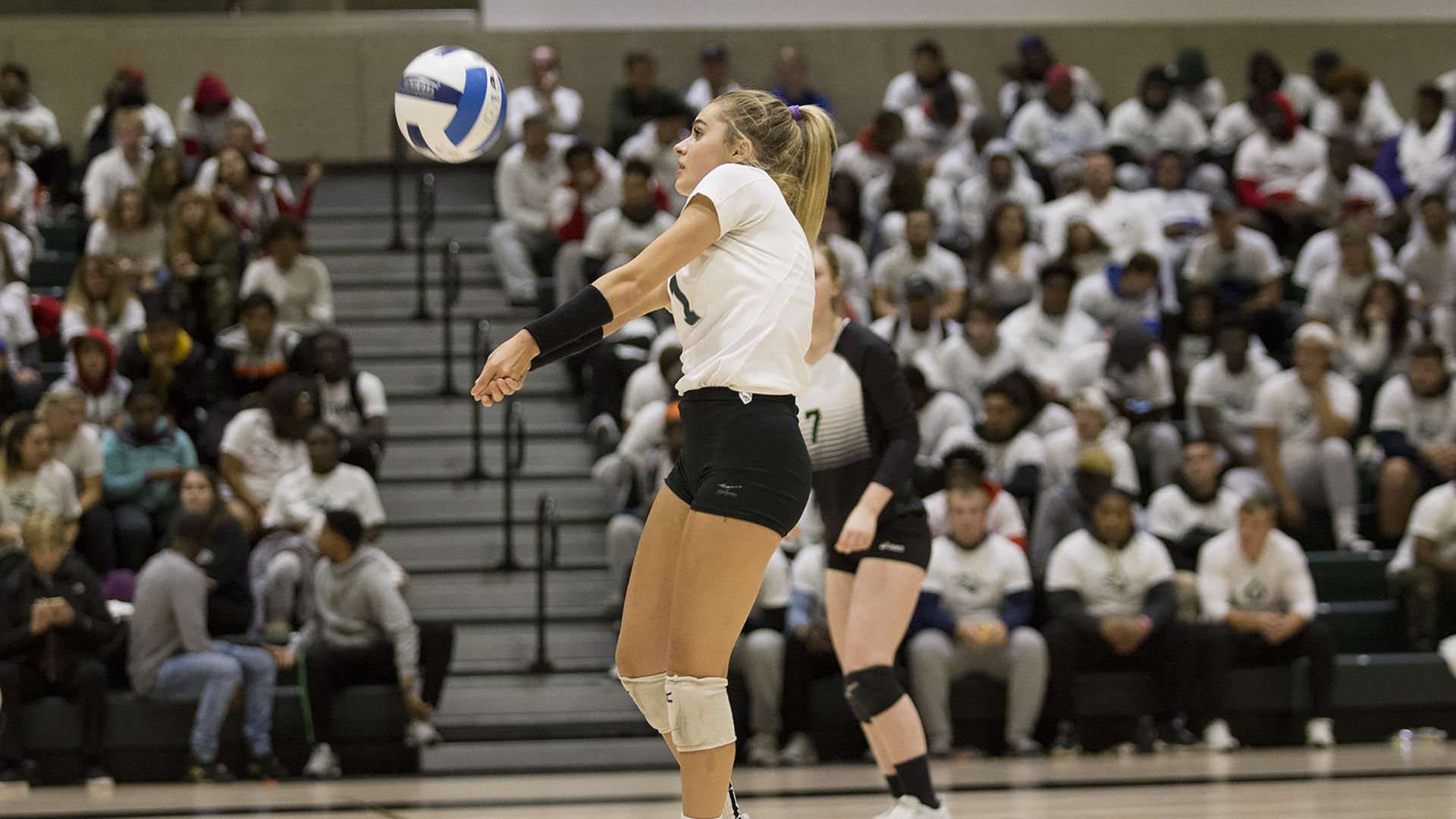 Maddie Shulski - Women's Volleyball - College of DuPage