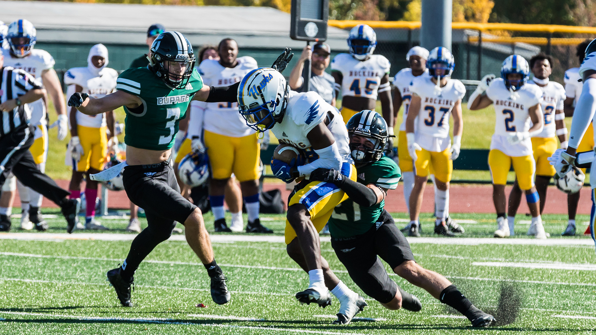 Nick Bucaro - Football - College of DuPage