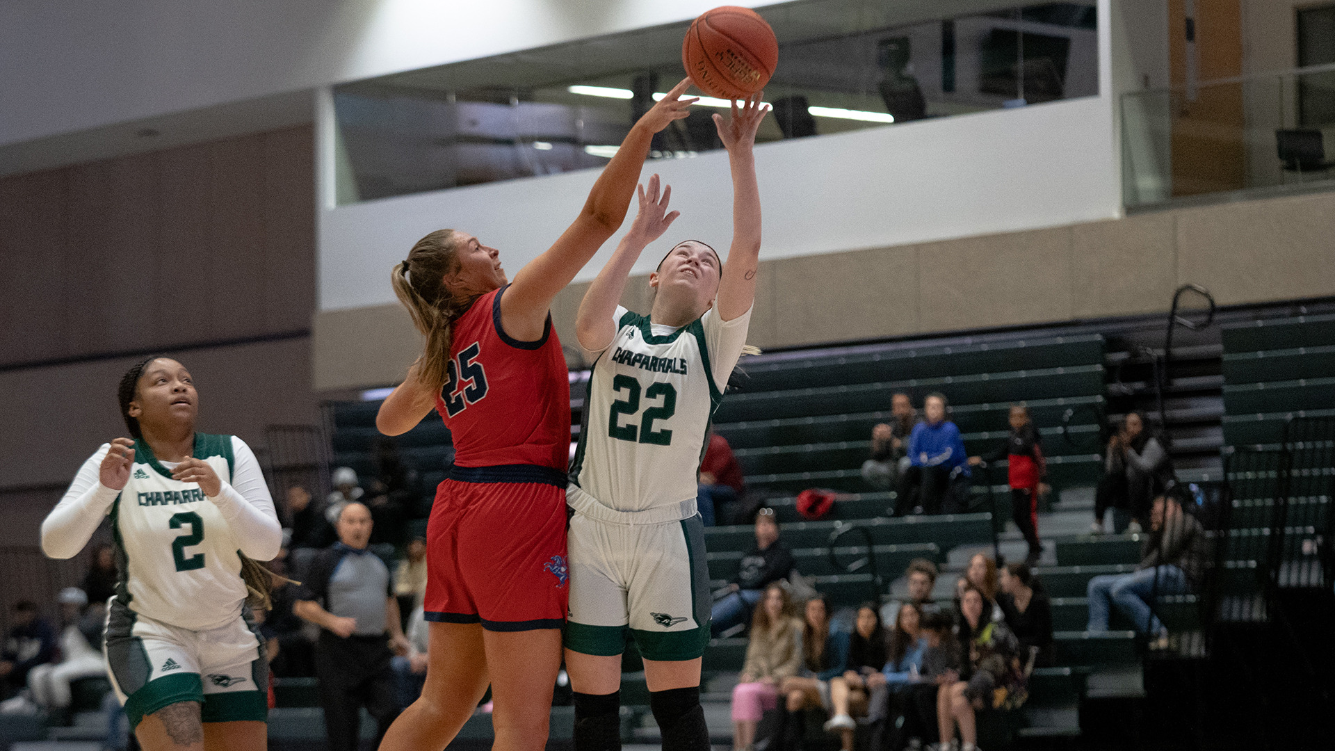 Mykah Berkompas - Women's Basketball - College of DuPage