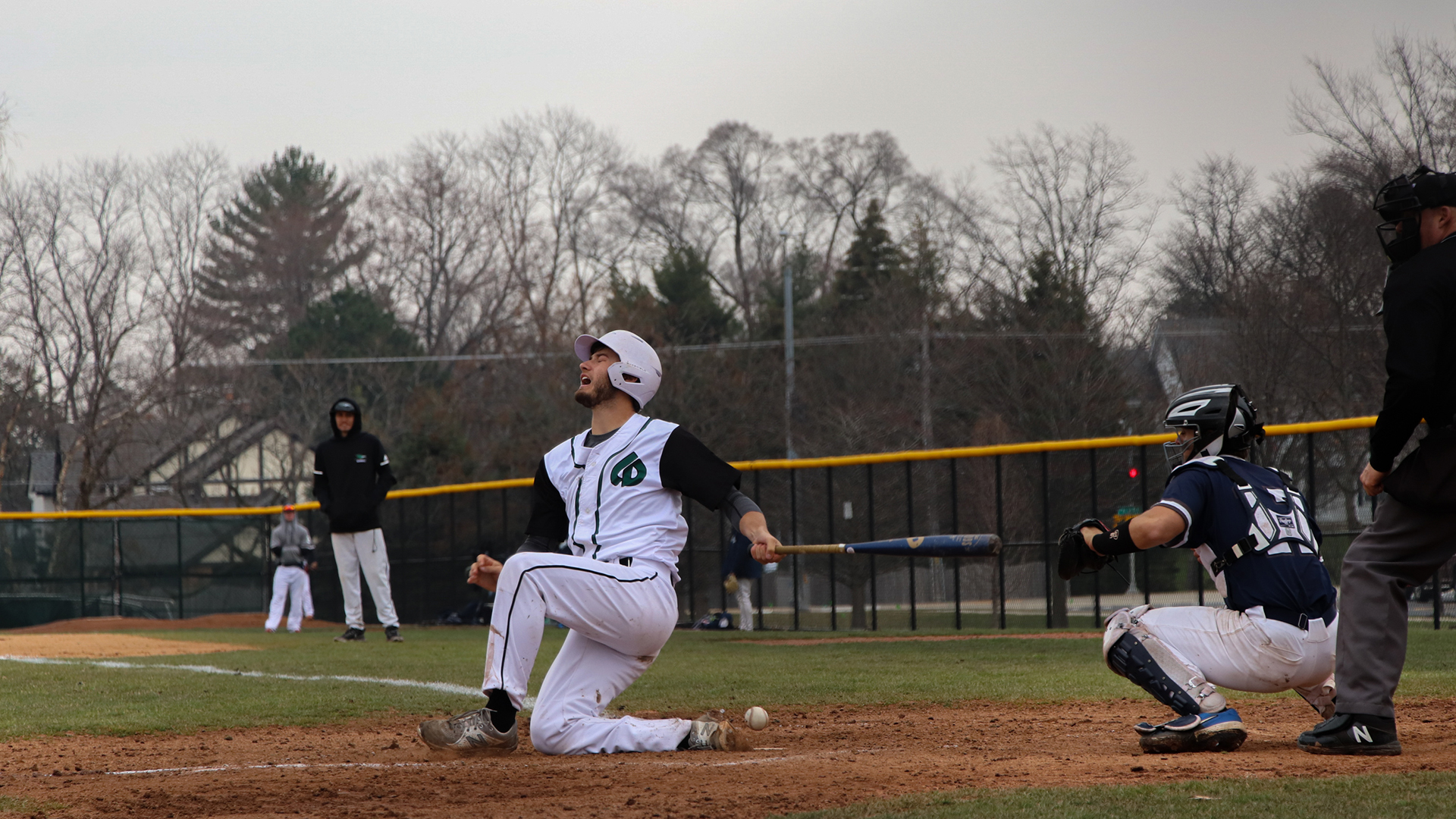 Seth Borden - Baseball - College of DuPage