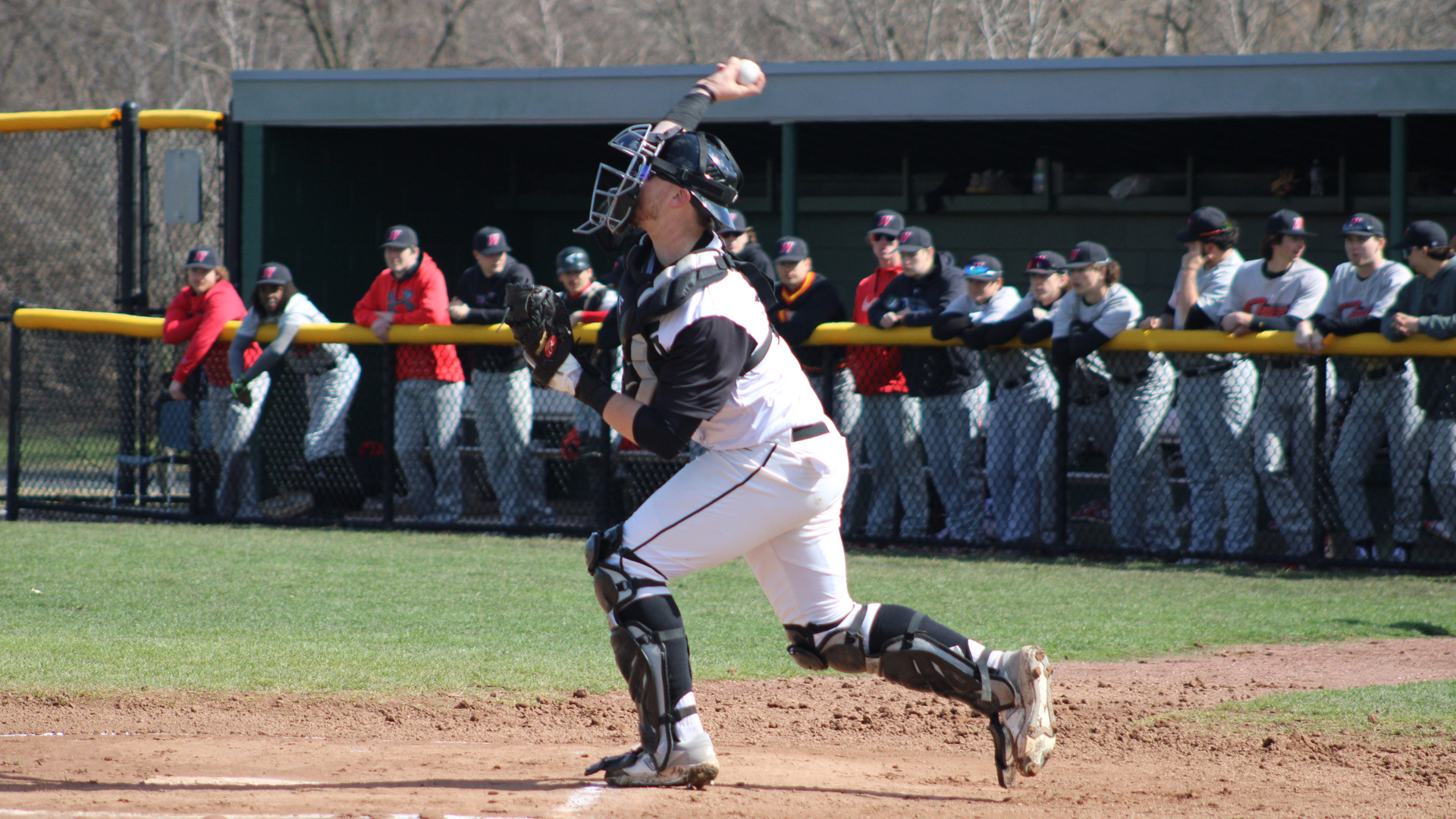Dan Gusel - Baseball - College of DuPage