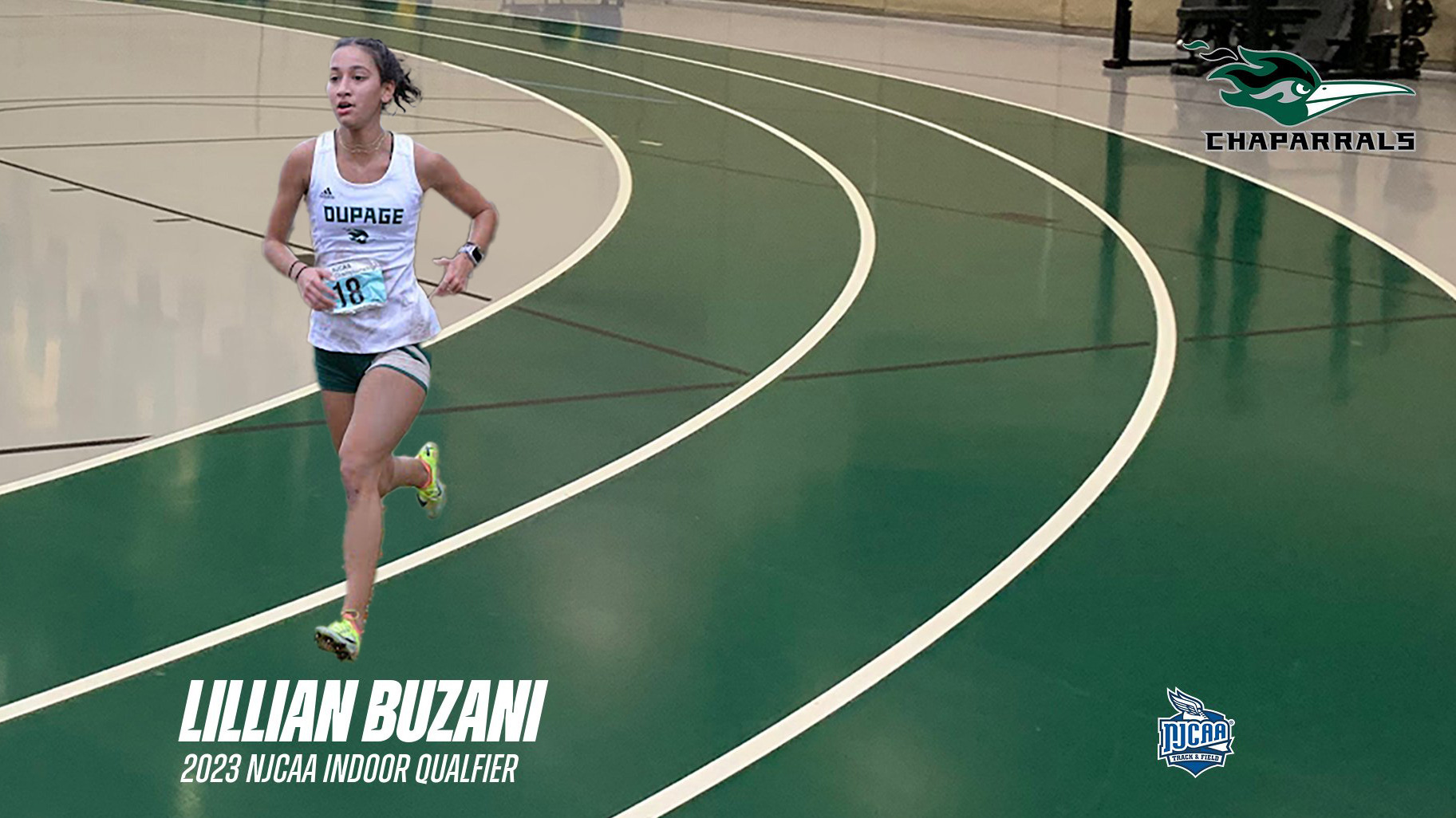 Buzani reaches indoor show - College of DuPage