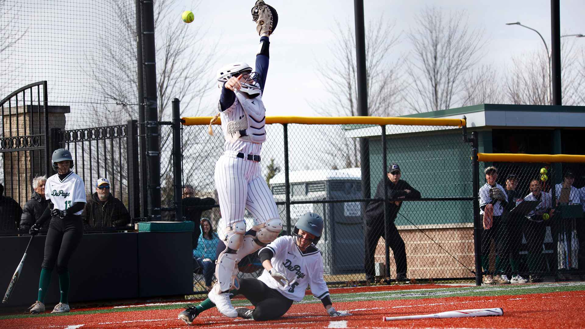 Grace Walker - Softball - College of DuPage