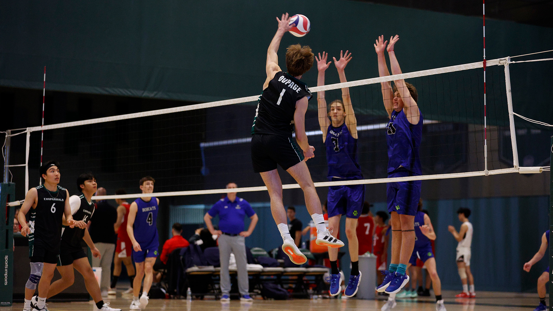 Blake Huberty - Men's Volleyball - College of DuPage
