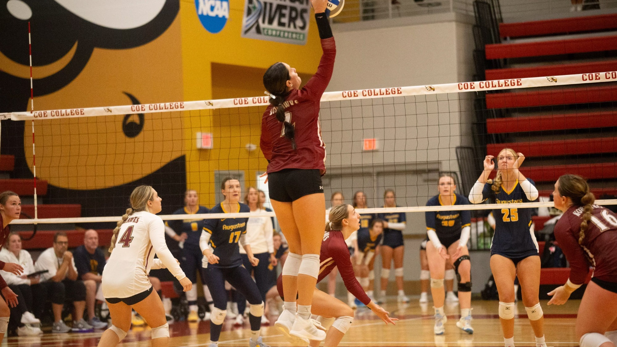Volleyball hosts annual Mabel Lee Invite - Coe College