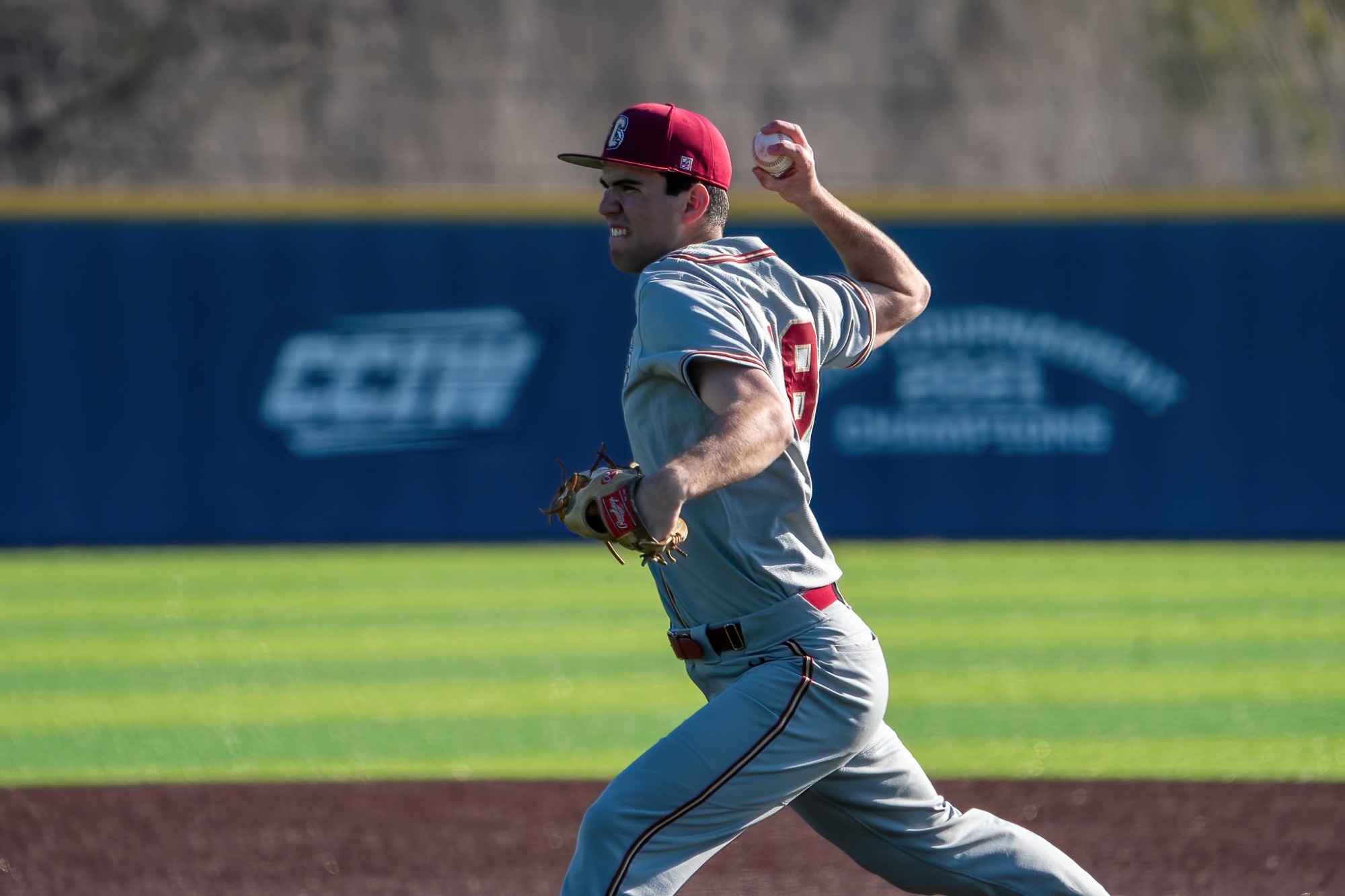 Baseball sweeps doubleheader with Dickinson, drops Florida finale to ...
