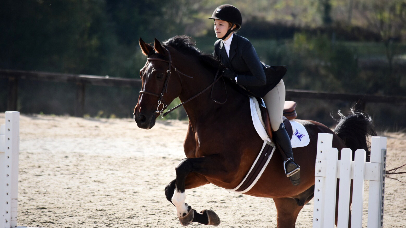 Beverly Davis - Equestrian - College of Charleston Athletics