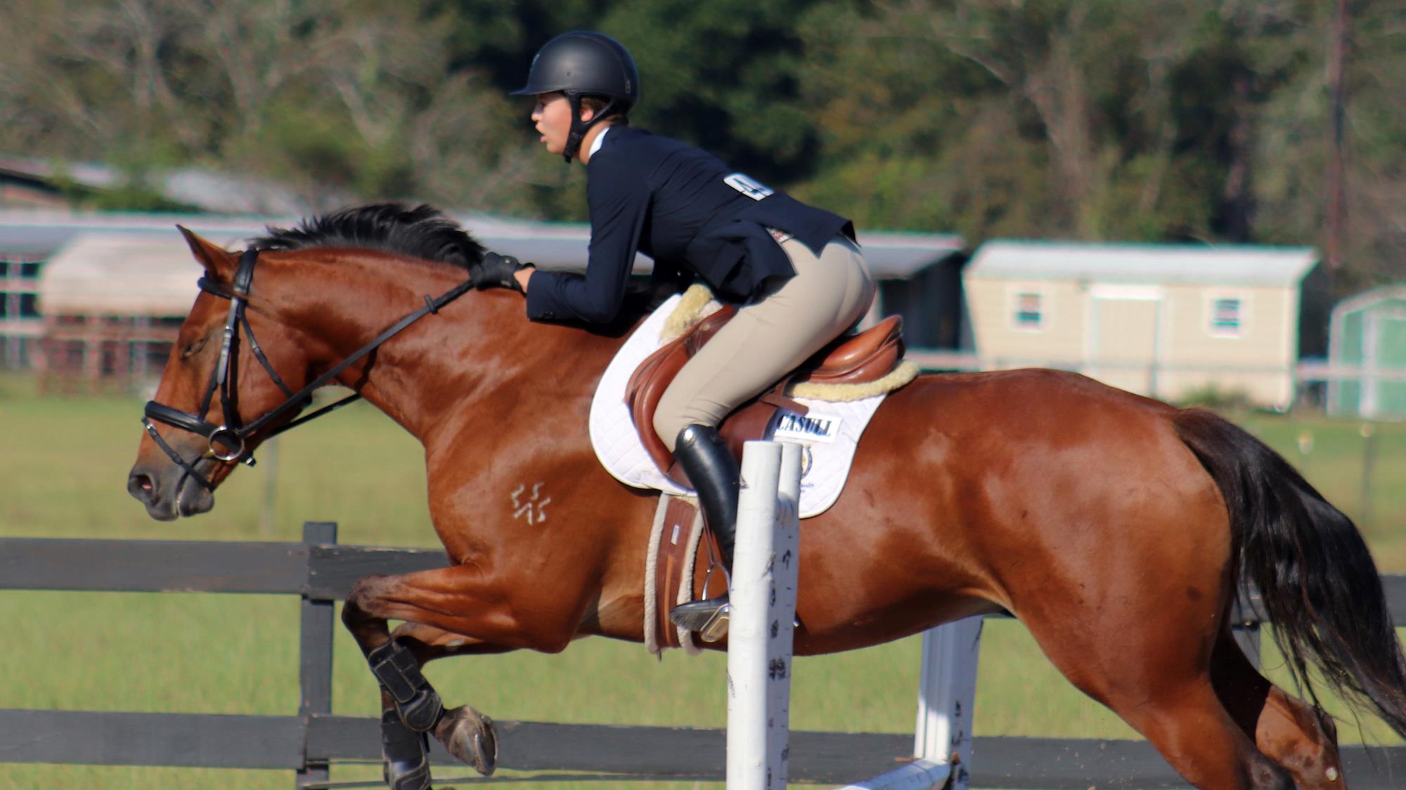 Two Days of Competition Up Next For Cougars at USC IHSA Show - College ...