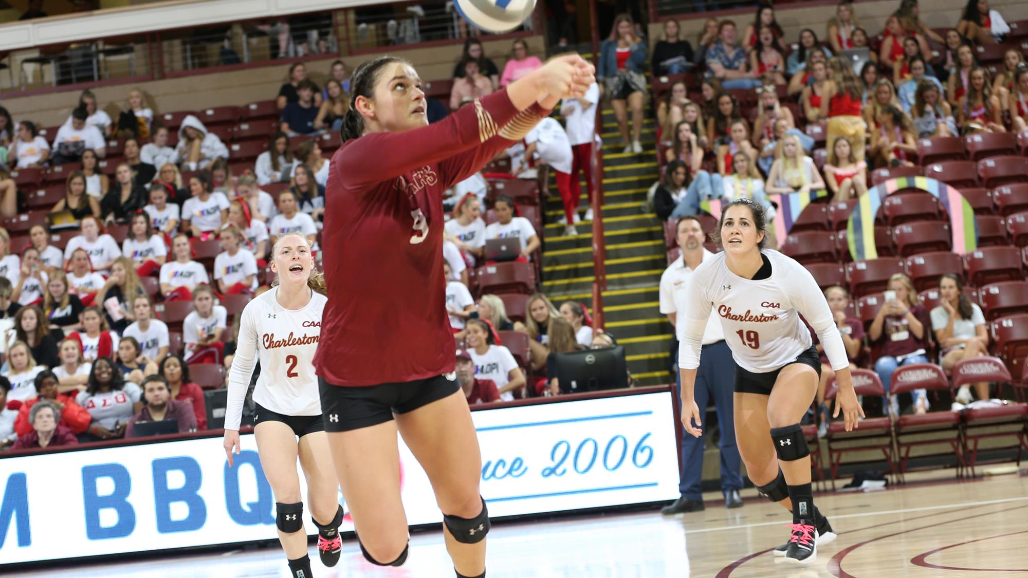 Logan Manusky - Volleyball - College of Charleston Athletics