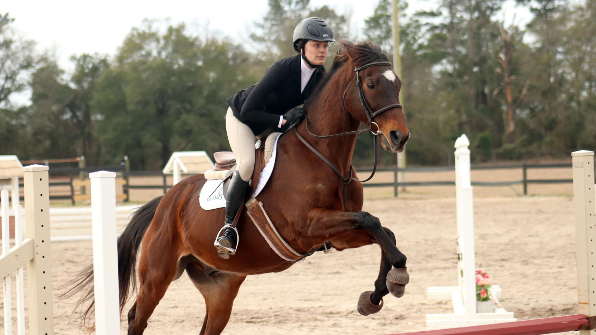 Molly Coyle - Equestrian - College of Charleston Athletics