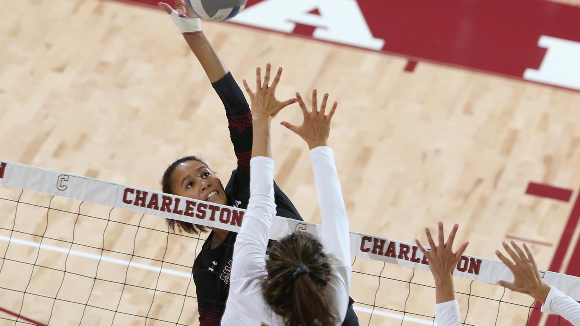 Logan Pope - Volleyball - College of Charleston Athletics