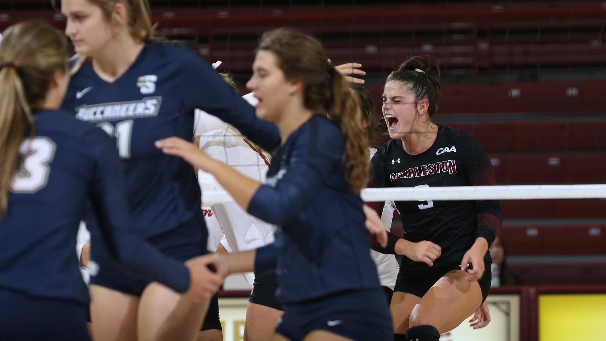 Logan Manusky - Volleyball - College of Charleston Athletics