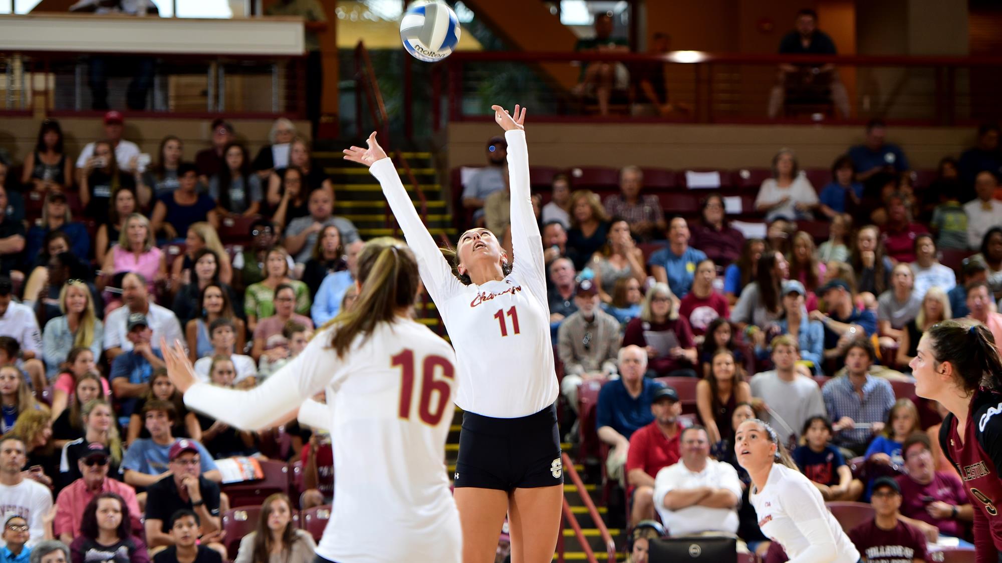 Tori Carpenter - Volleyball - College of Charleston Athletics