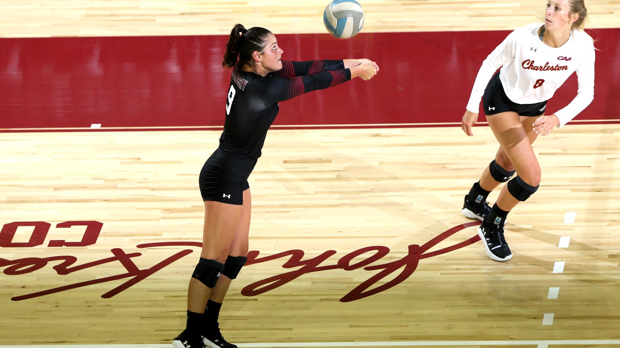 Logan Manusky - Volleyball - College of Charleston Athletics