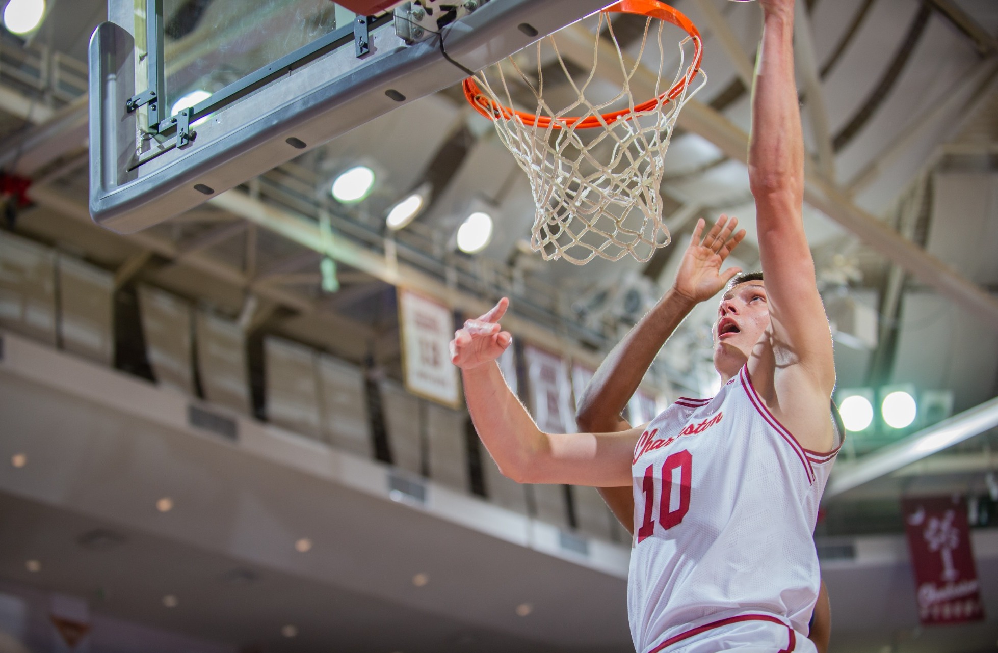 Ante Brzovic - Men's Basketball - College of Charleston Athletics
