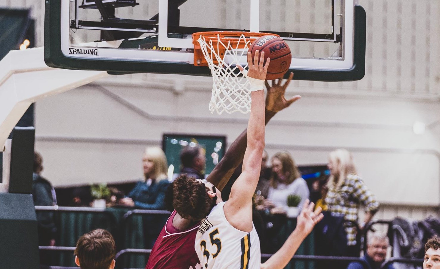 Charles Lampten - Men's Basketball - College of Charleston Athletics