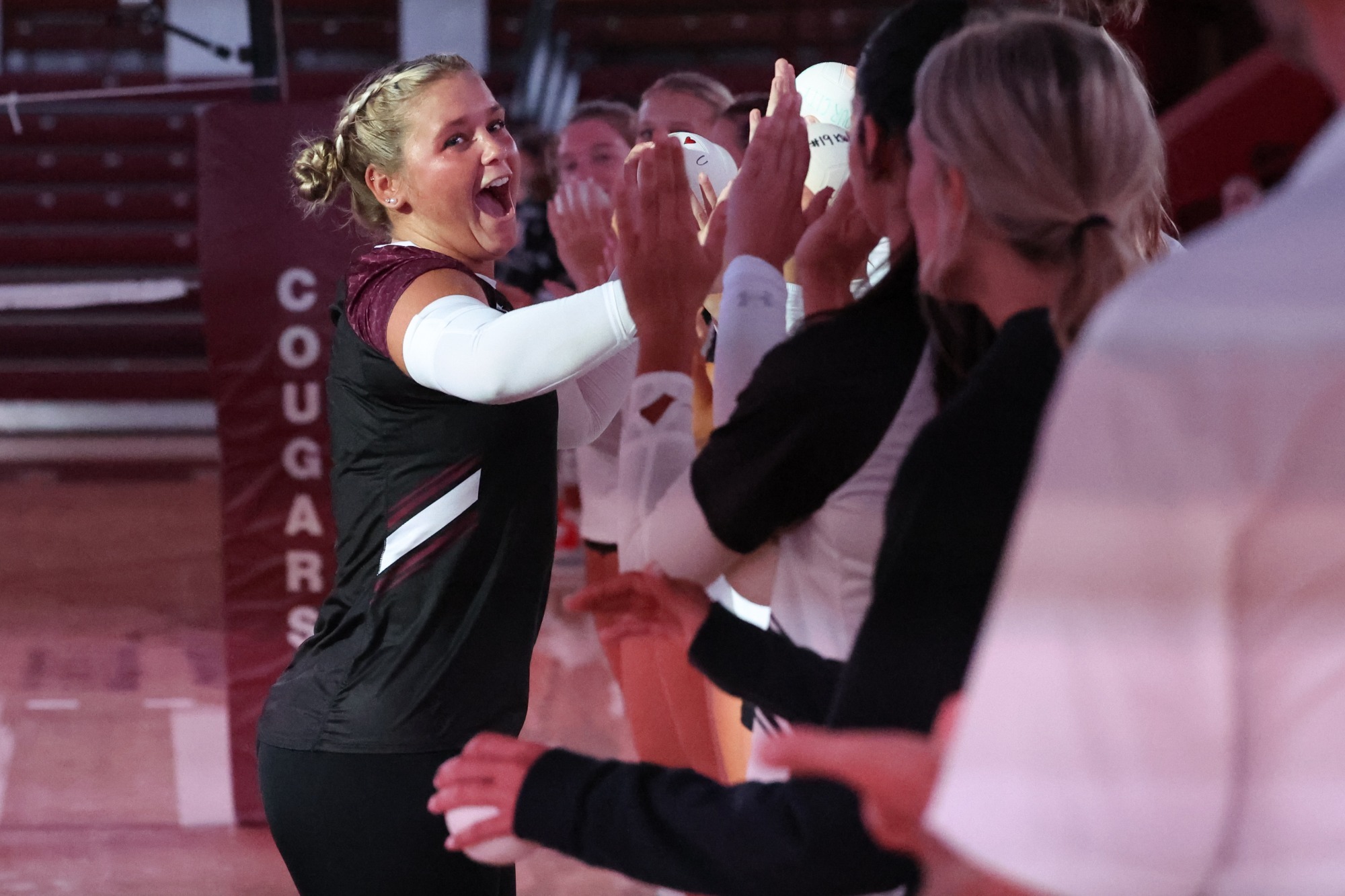 Chandler Manusky - Volleyball - College of Charleston Athletics