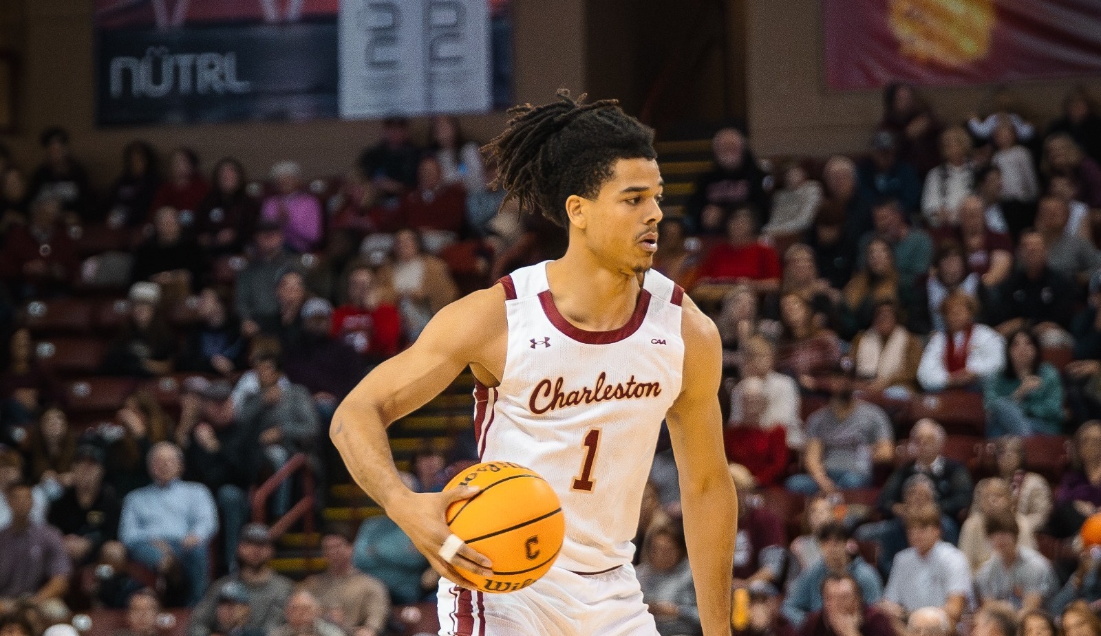Frankie Policelli - Men's Basketball - College of Charleston Athletics