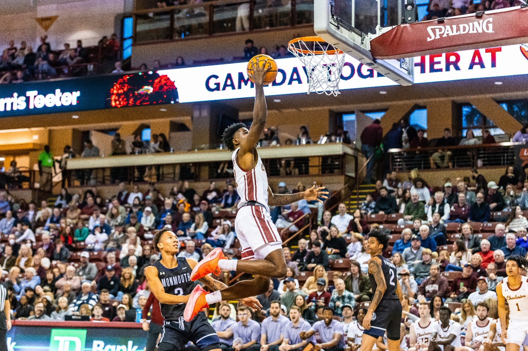 Kobe Rodgers - Men's Basketball - College of Charleston Athletics