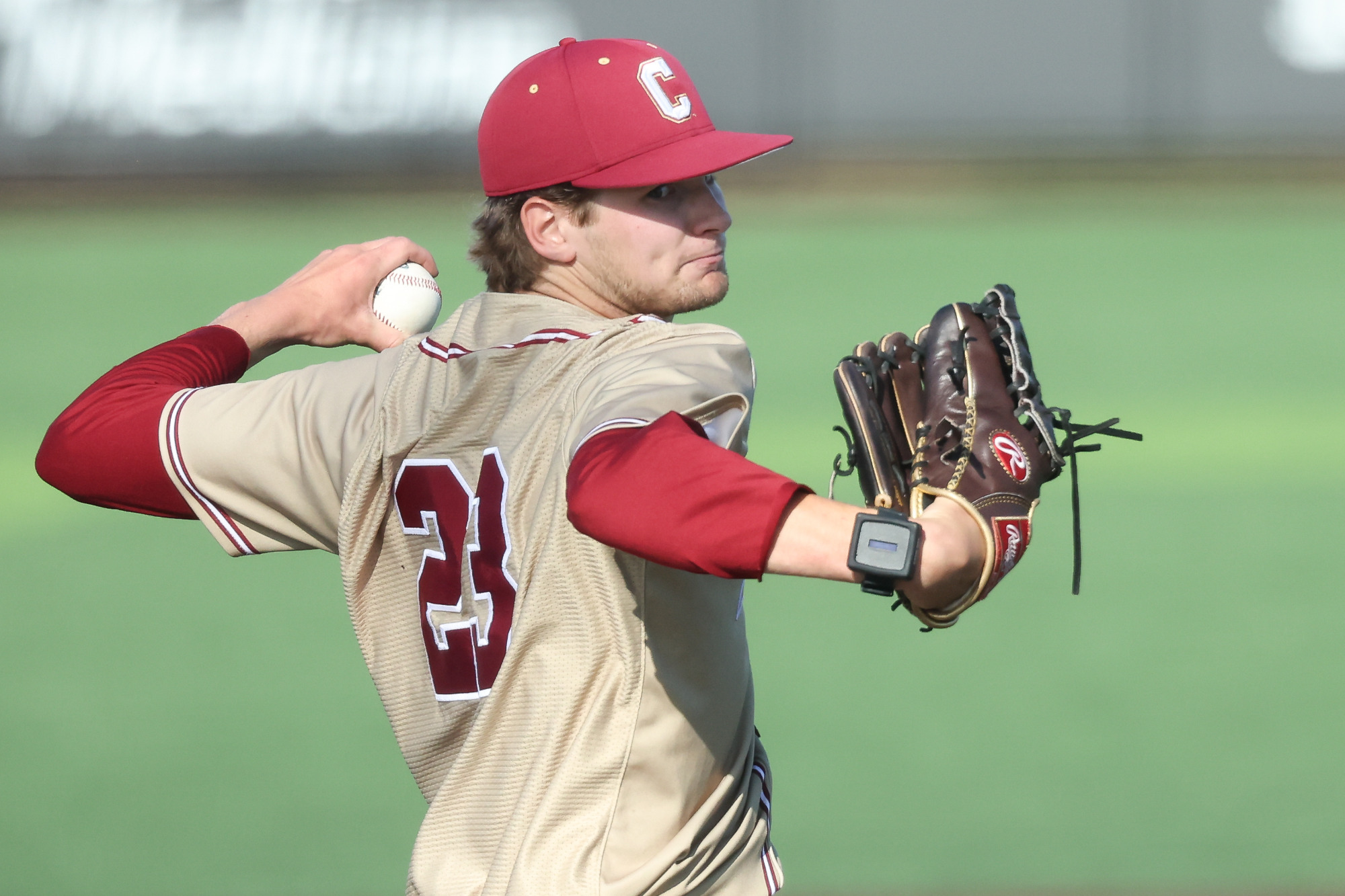 Jeb Bradford - Baseball - College of Charleston Athletics