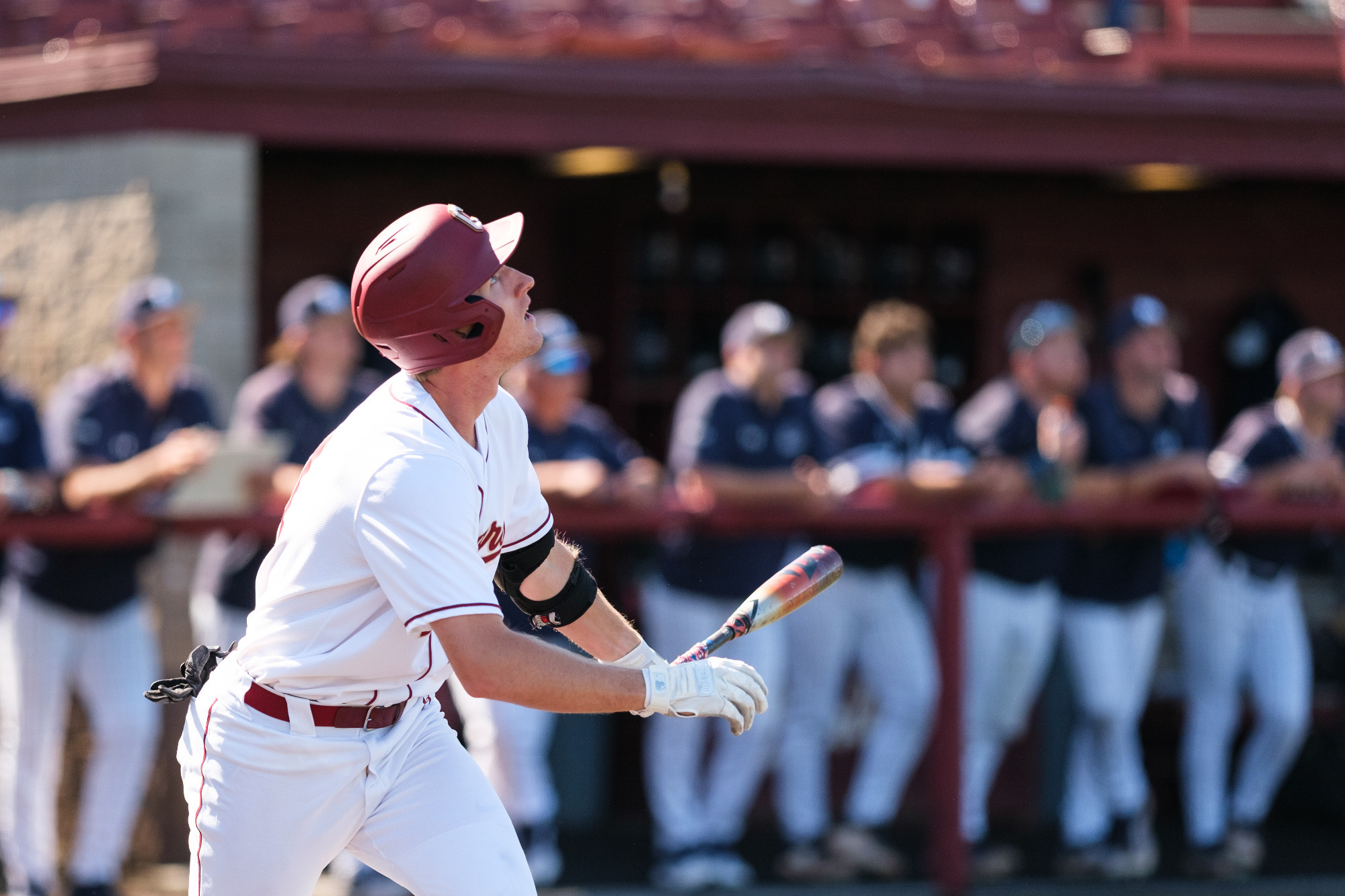 Cole Mathis - Baseball - College of Charleston Athletics