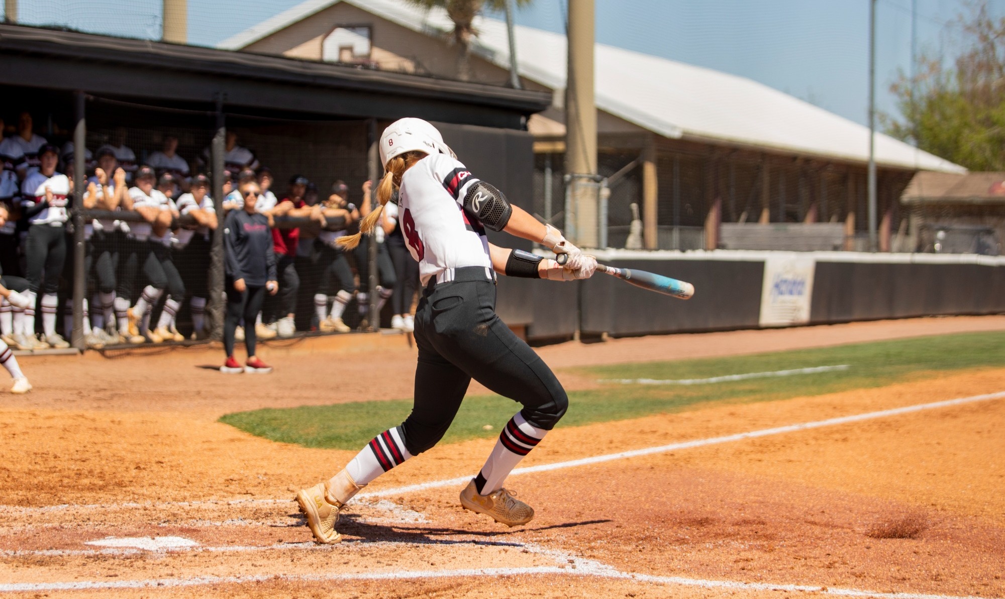 Cougars Announce 2025 Softball Schedule - College of Charleston Athletics