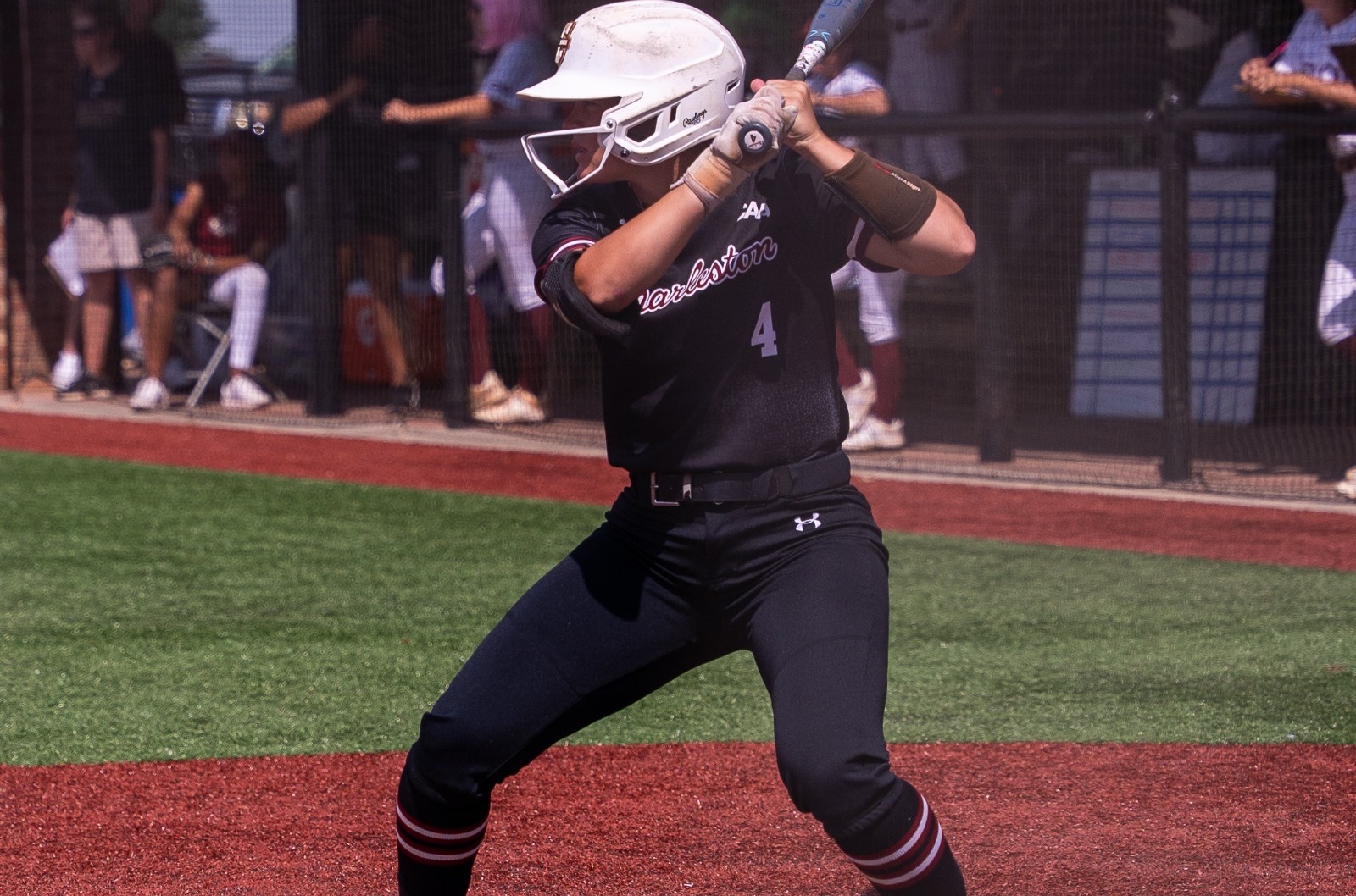 Mrowka Named Charleston Softball Head Coach - College of Charleston ...