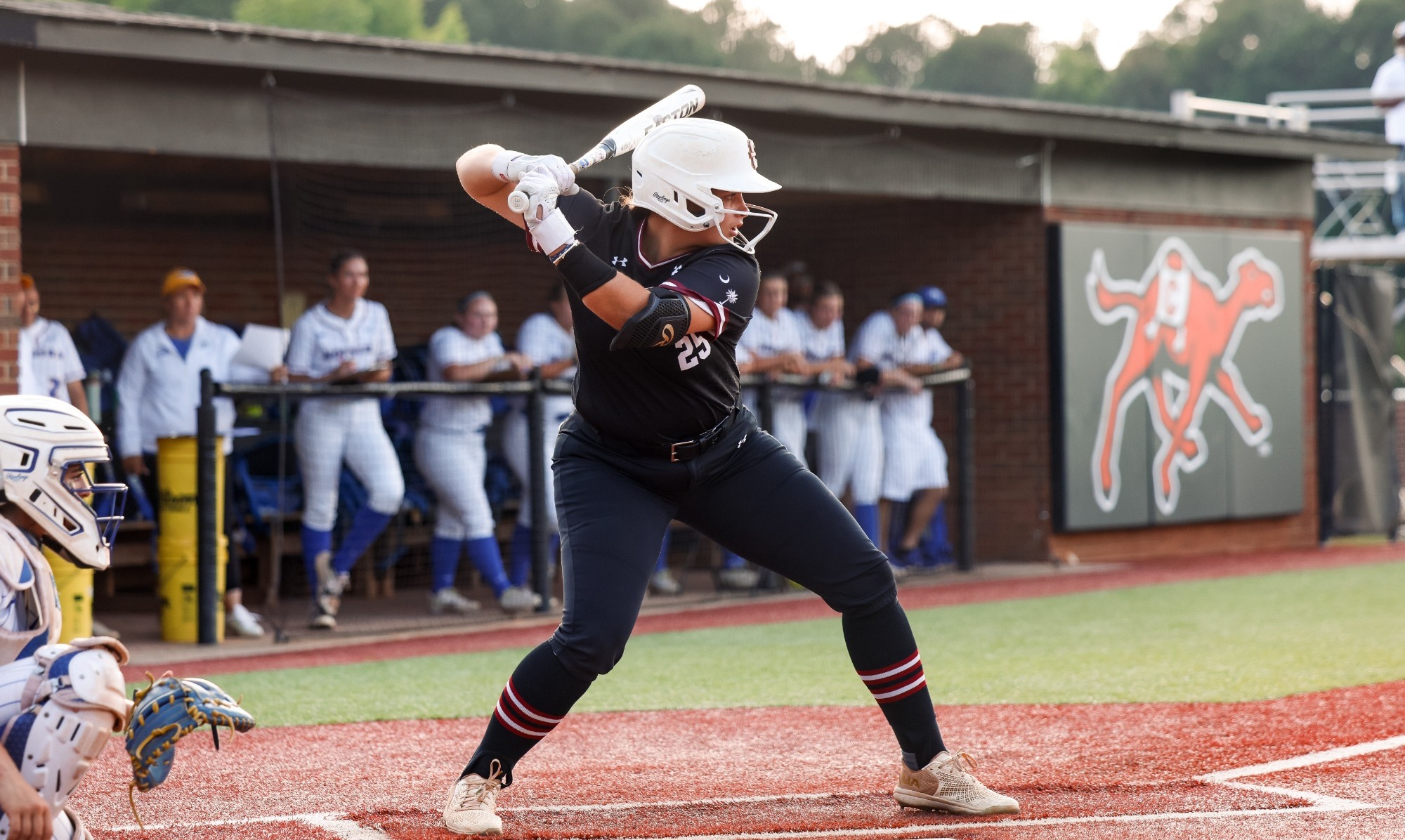 Mrowka Named Charleston Softball Head Coach - College of Charleston ...