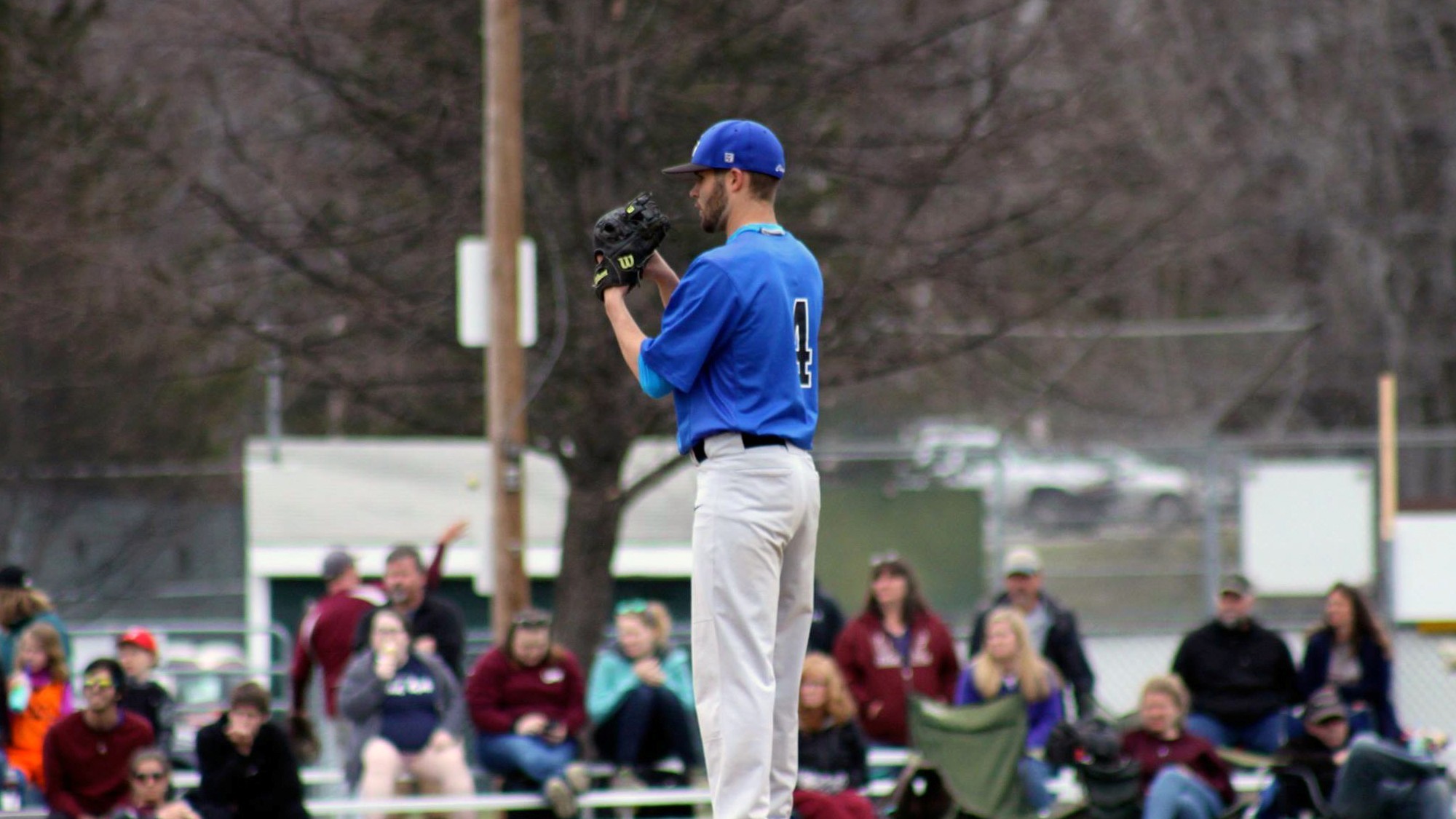 Bobby Madden - 2017 - Baseball - Colby-Sawyer College Athletics