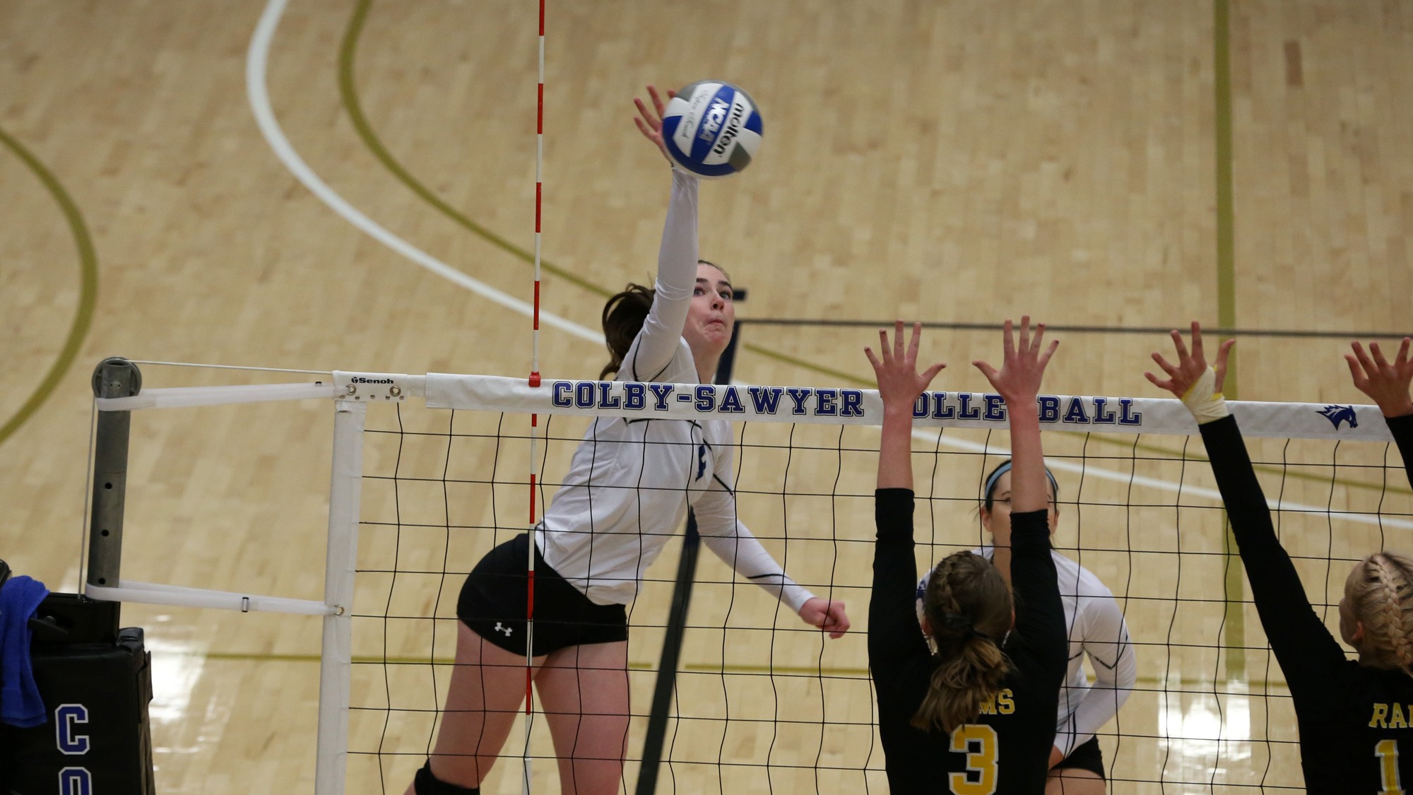 Courtney Murray - 2018 - Women's Volleyball - Colby-Sawyer College ...