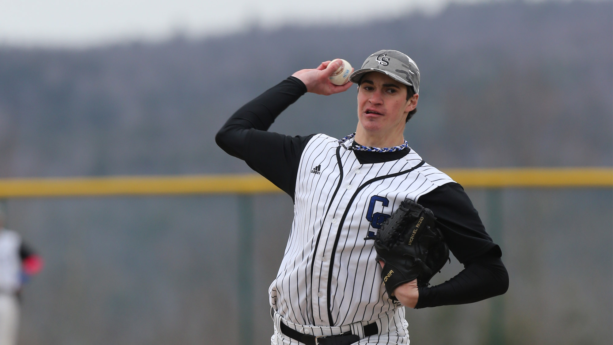 Michael Fazio - 2017 - Baseball - Colby-Sawyer College Athletics