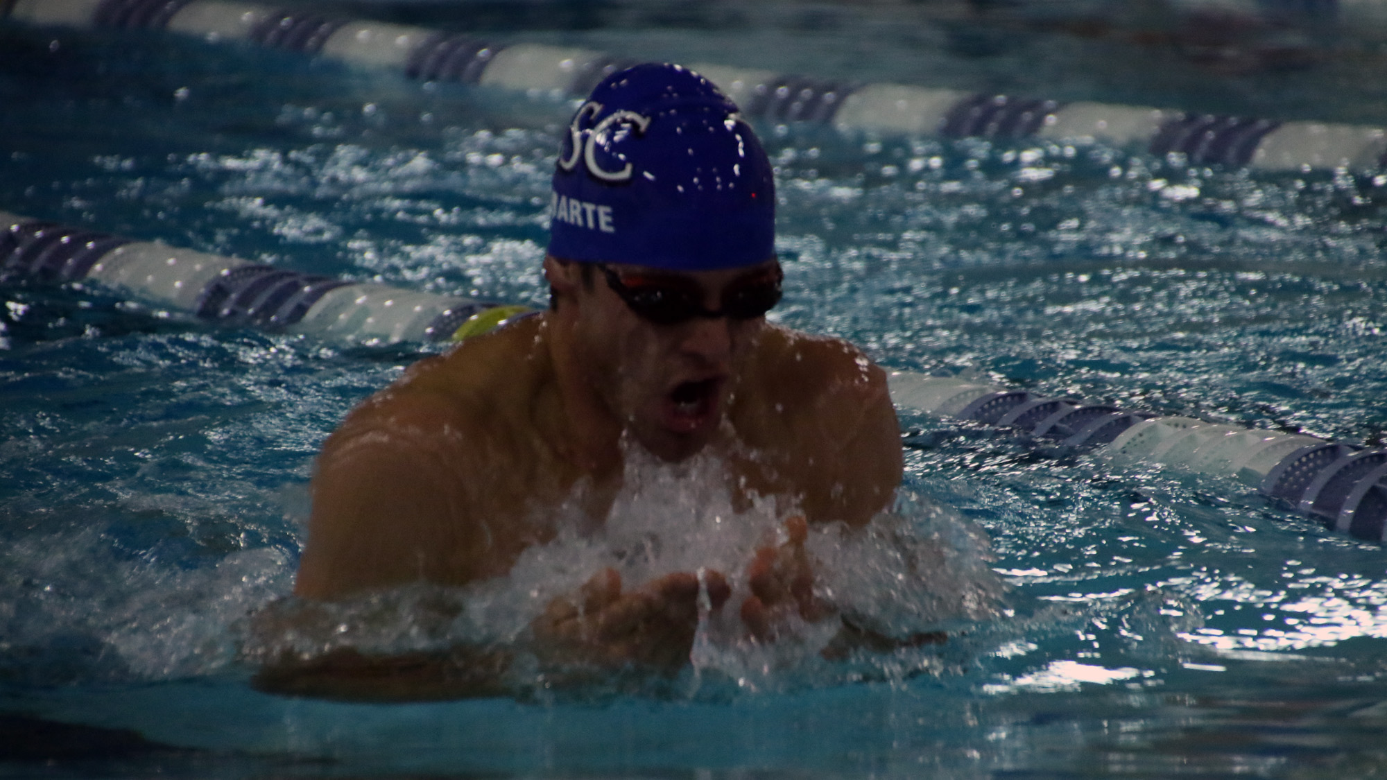 Luke Rodarte - 2018-19 - Men's Swimming and Diving - Colby-Sawyer ...