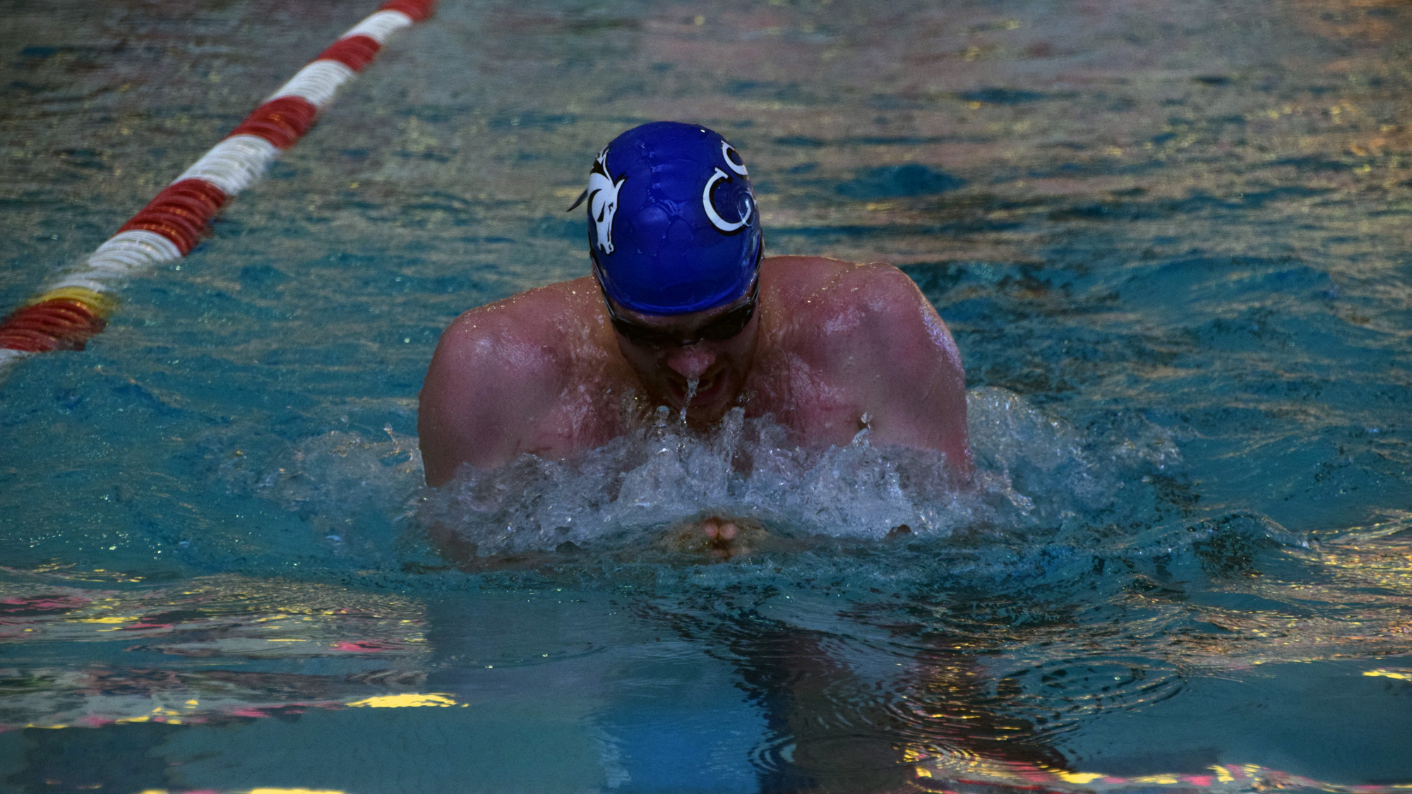 Steven Moody - 2019-20 - Men's Swimming and Diving - Colby-Sawyer ...