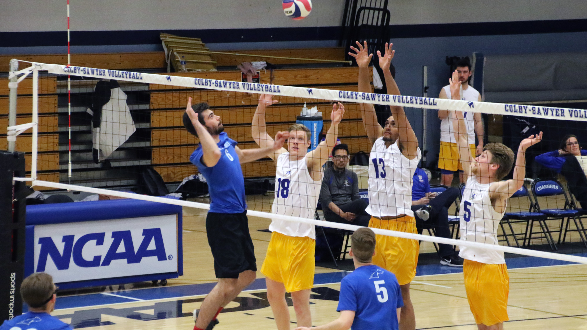 Patrick Coffey - 2020 - Men's Volleyball - Colby-Sawyer College Athletics