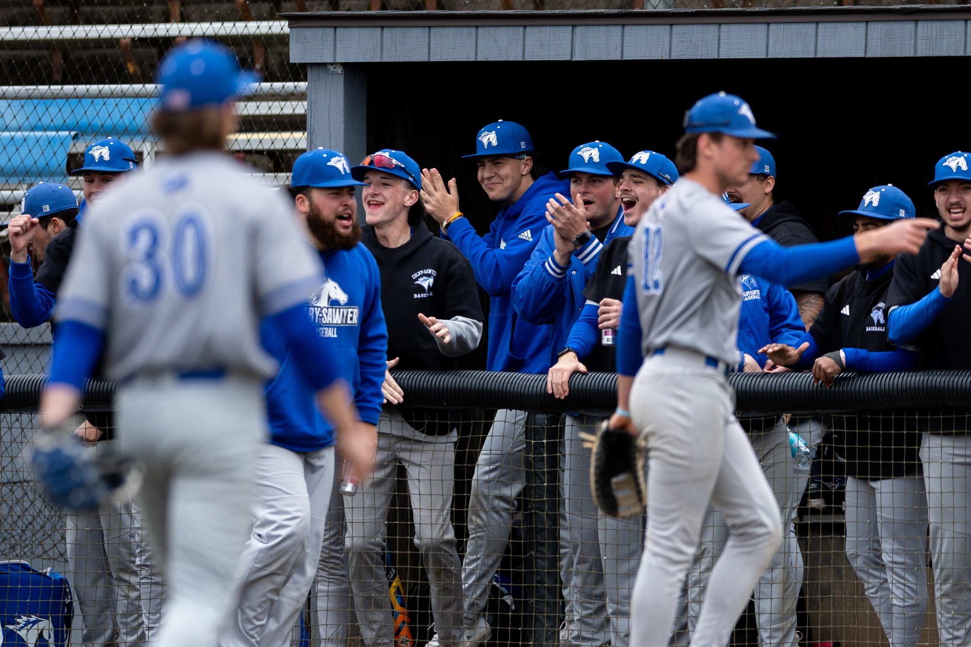 2024 Baseball Schedule - Colby-Sawyer College Athletics