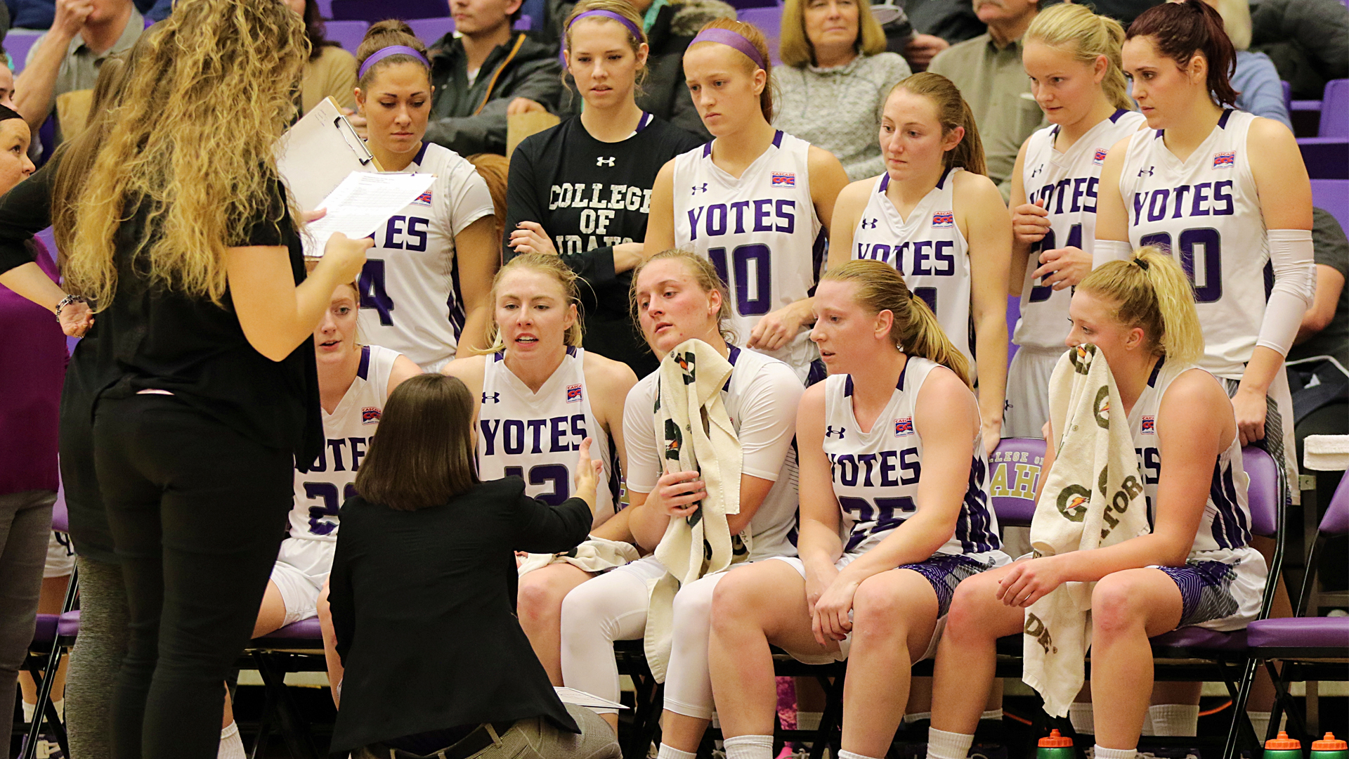 Madison Holly - Women's Basketball - College of Idaho Athletics