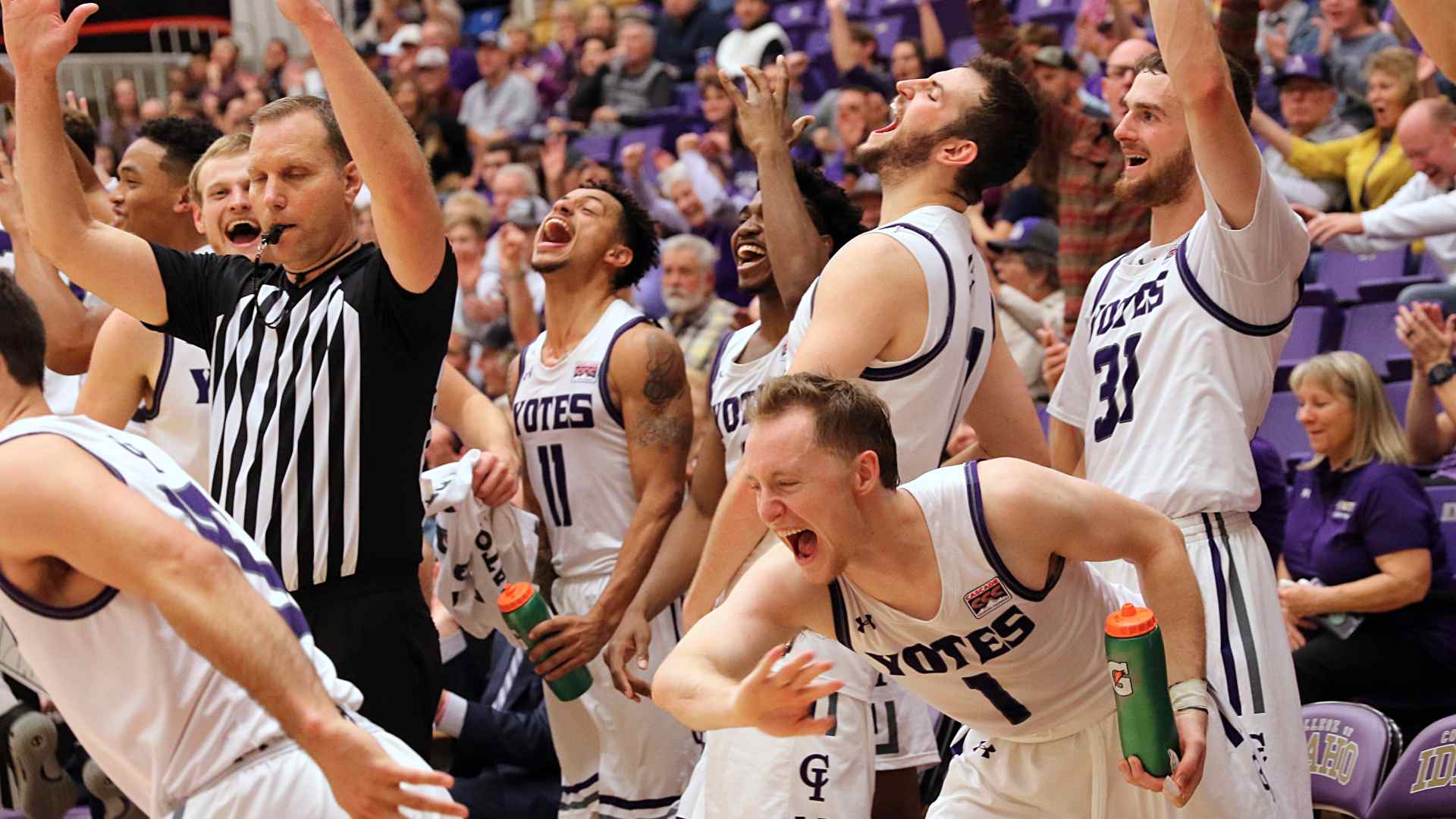 Talon Pinckney - Men's Basketball - College of Idaho Athletics