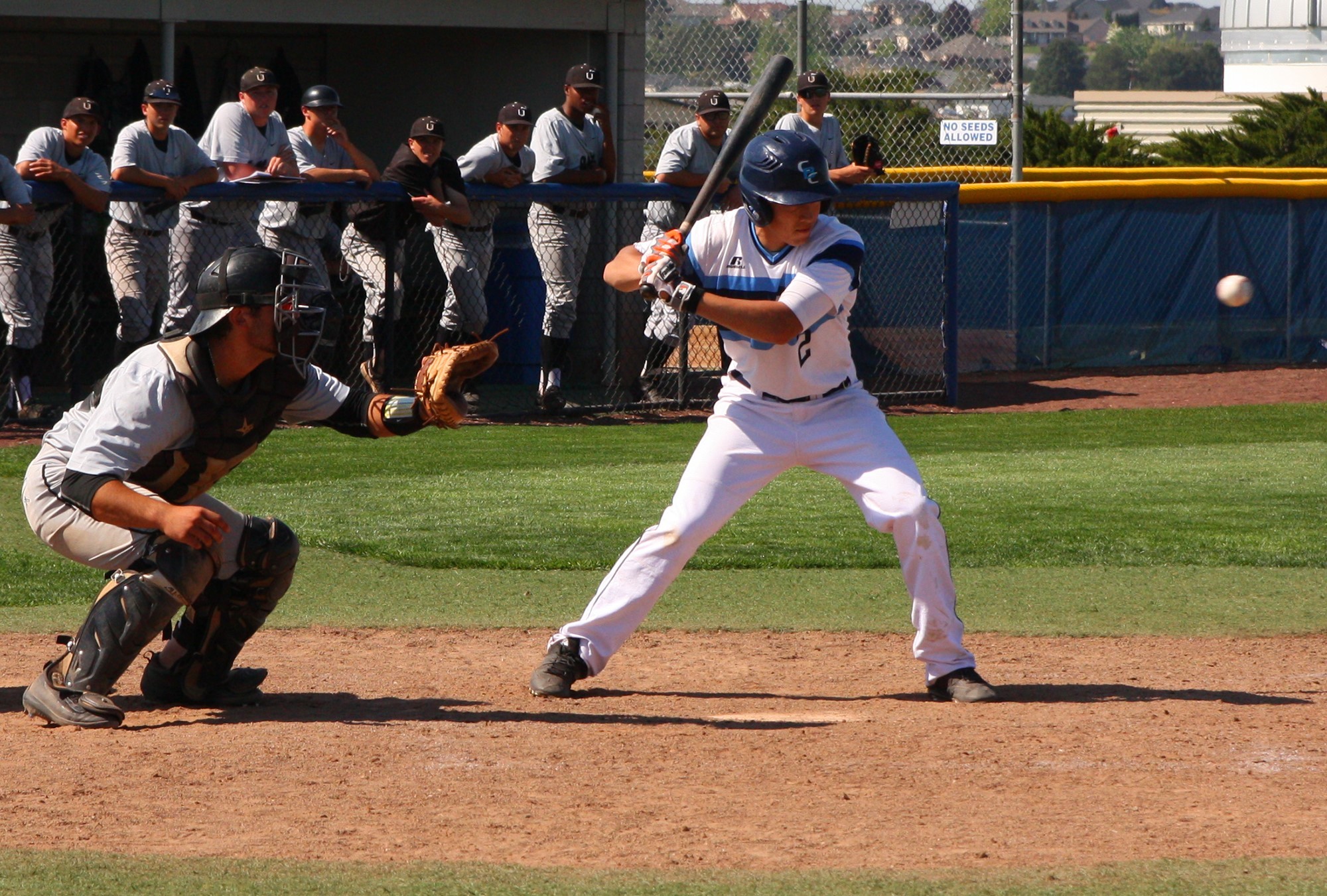 Jared Wade - 2017 - Baseball - Columbia Basin College Athletics