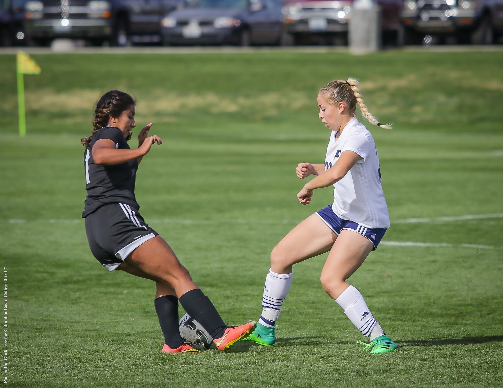 Kaylee Martinez - 2017 - Women's Soccer - Columbia Basin College Athletics