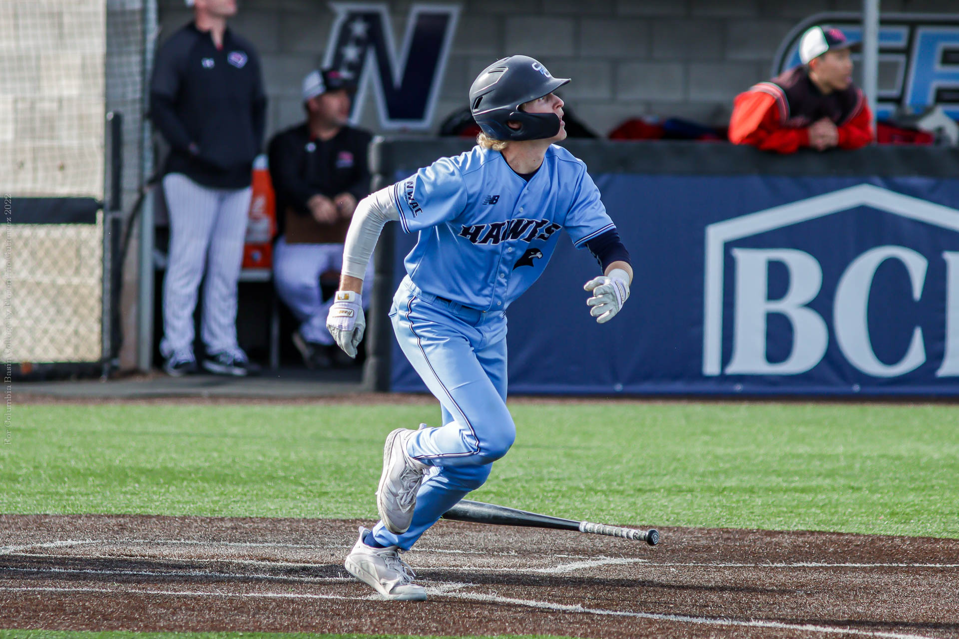 NBX SWX: Baseball off to a hot start - Columbia Basin College Athletics
