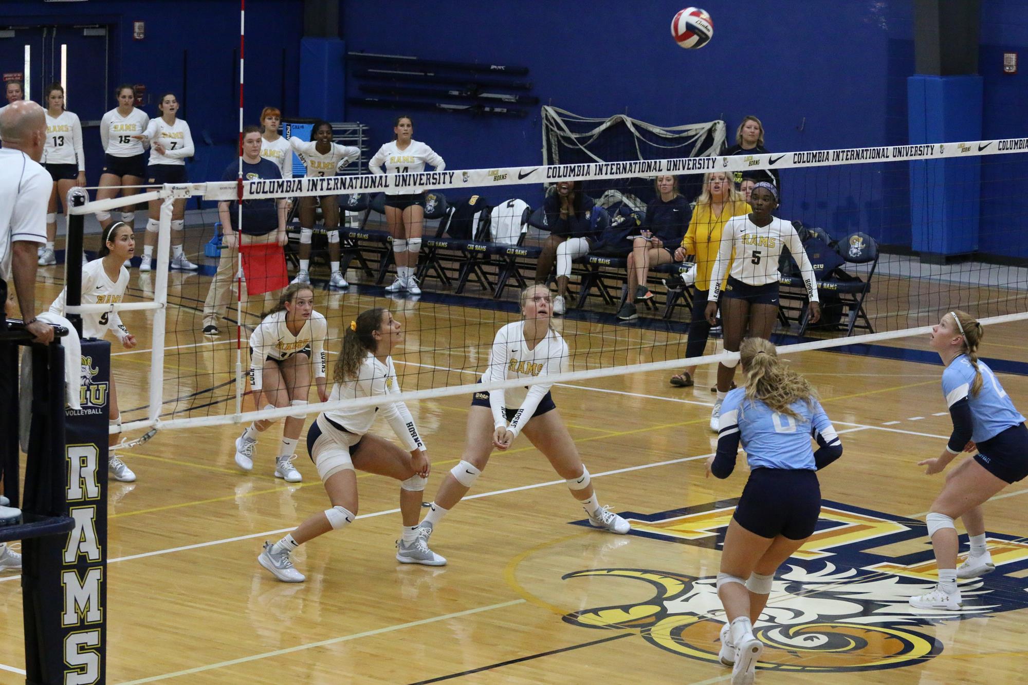 Mackenzie Sanchez - Women's Volleyball - Columbia International ...