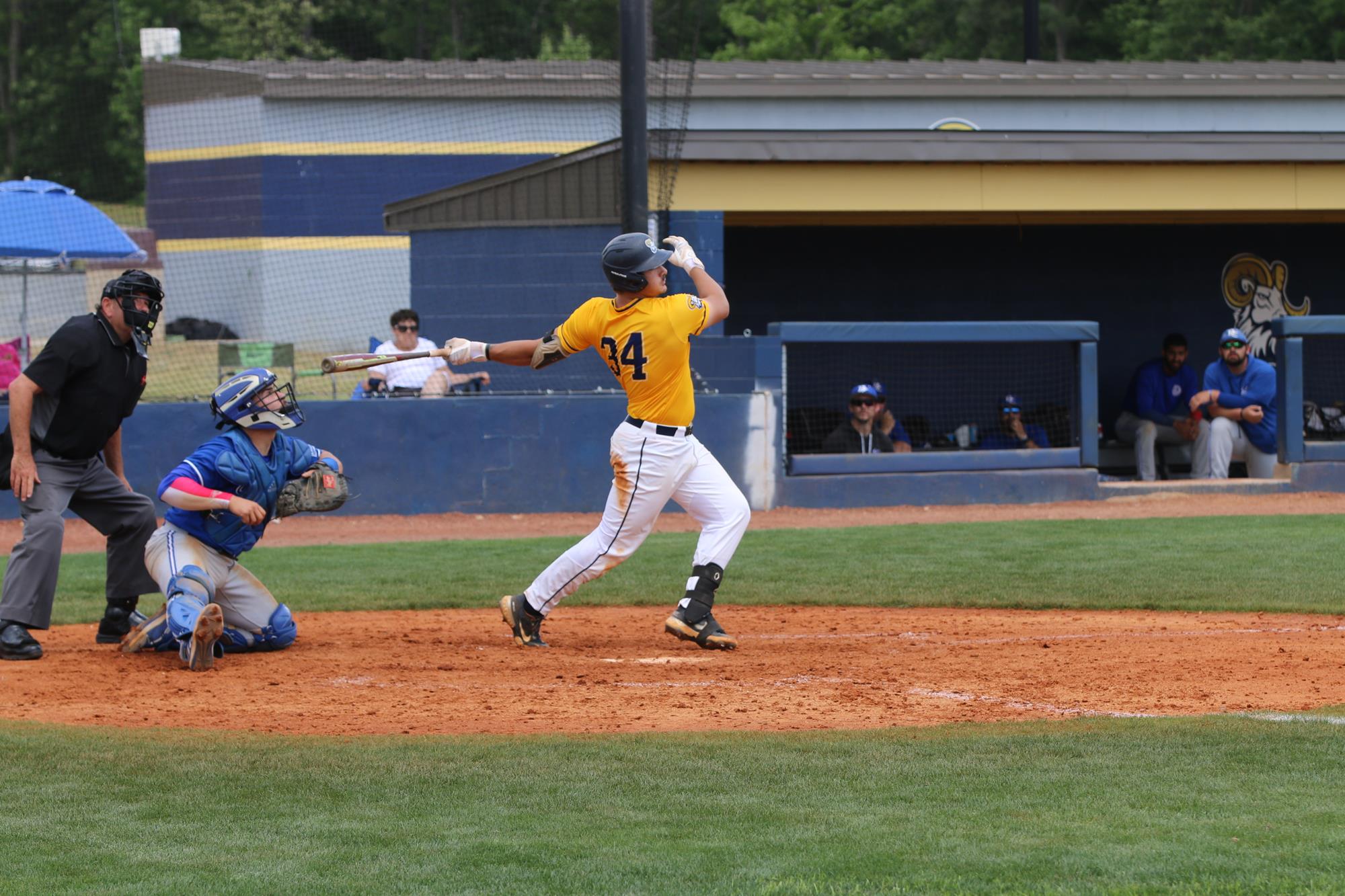 Gabe Austin - Baseball - Columbia International University Athletics