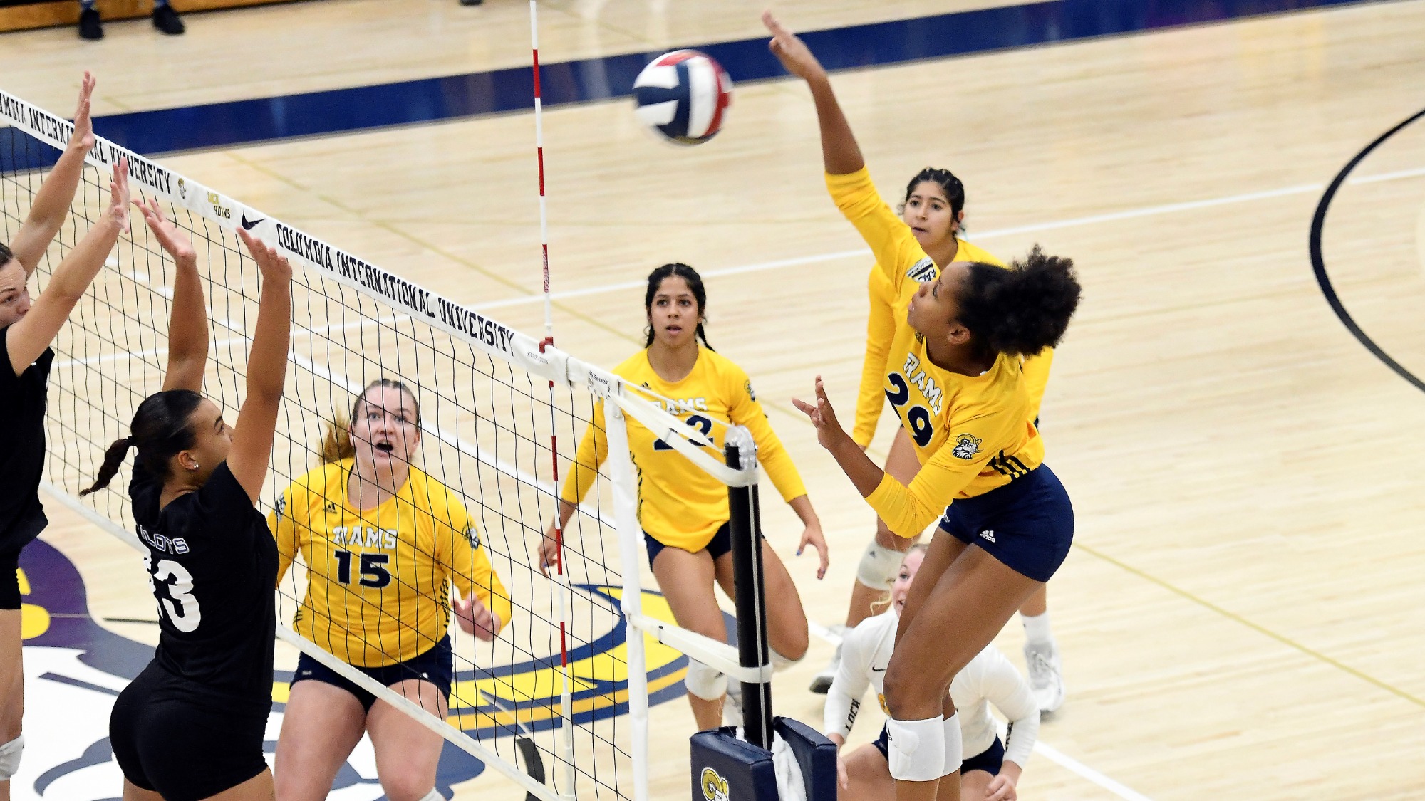 Rams unable to get past Pilots in NAIA Championship Opening Round ...